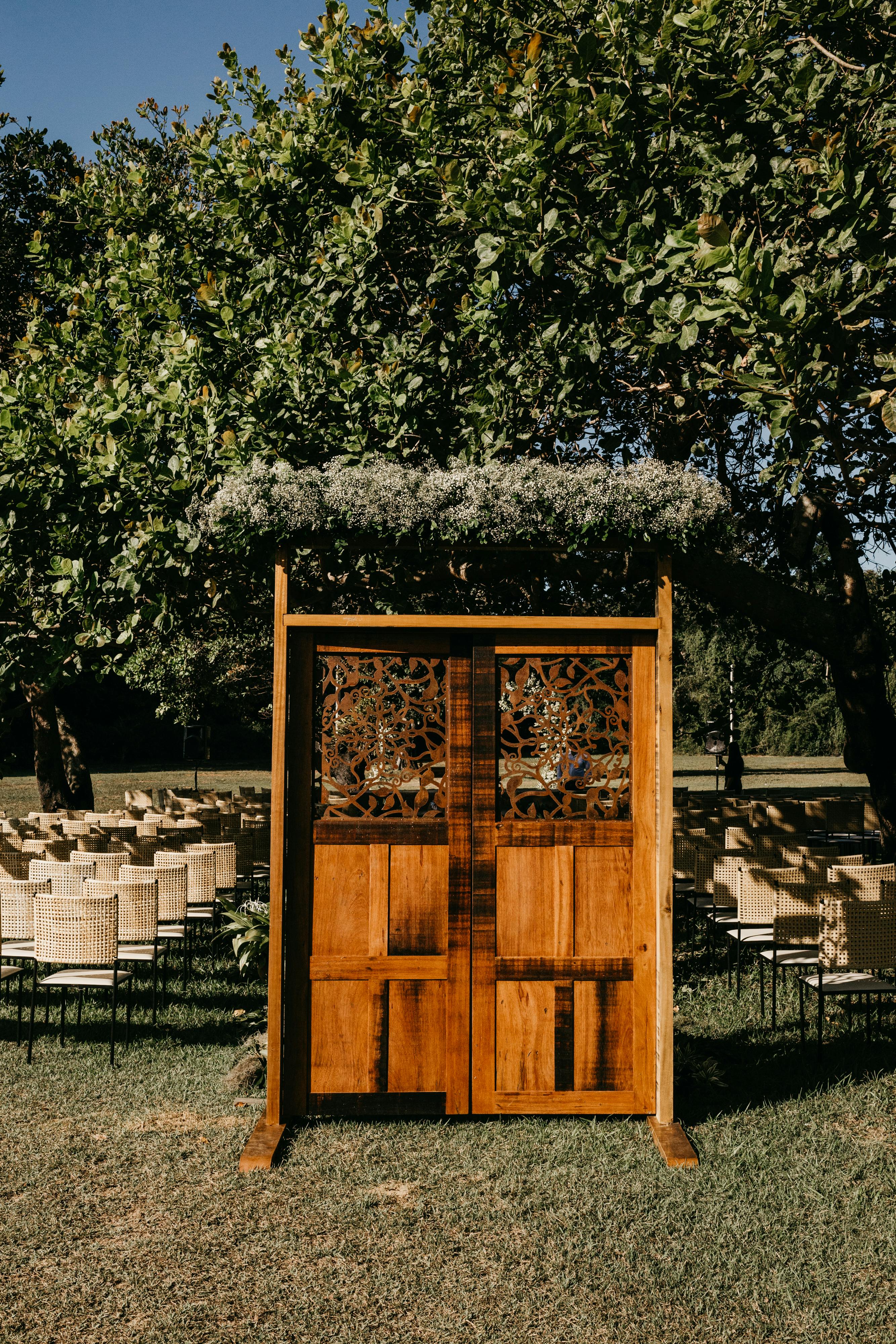 Whole Trees Photos, Download The BEST Free Whole Trees Stock Photos ...