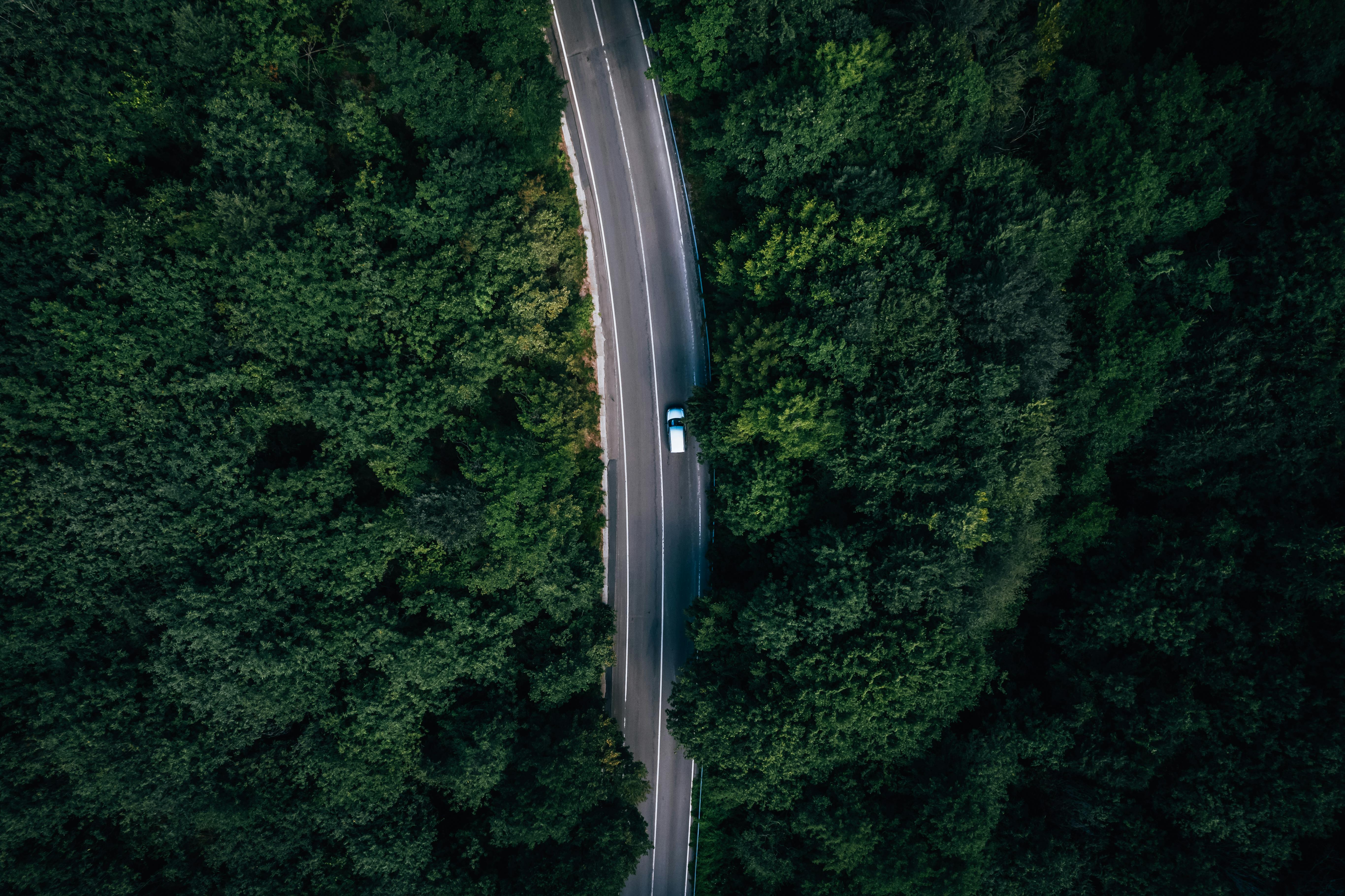 Drone Shot of a Car on a Road in a Forest · Free Stock Photo