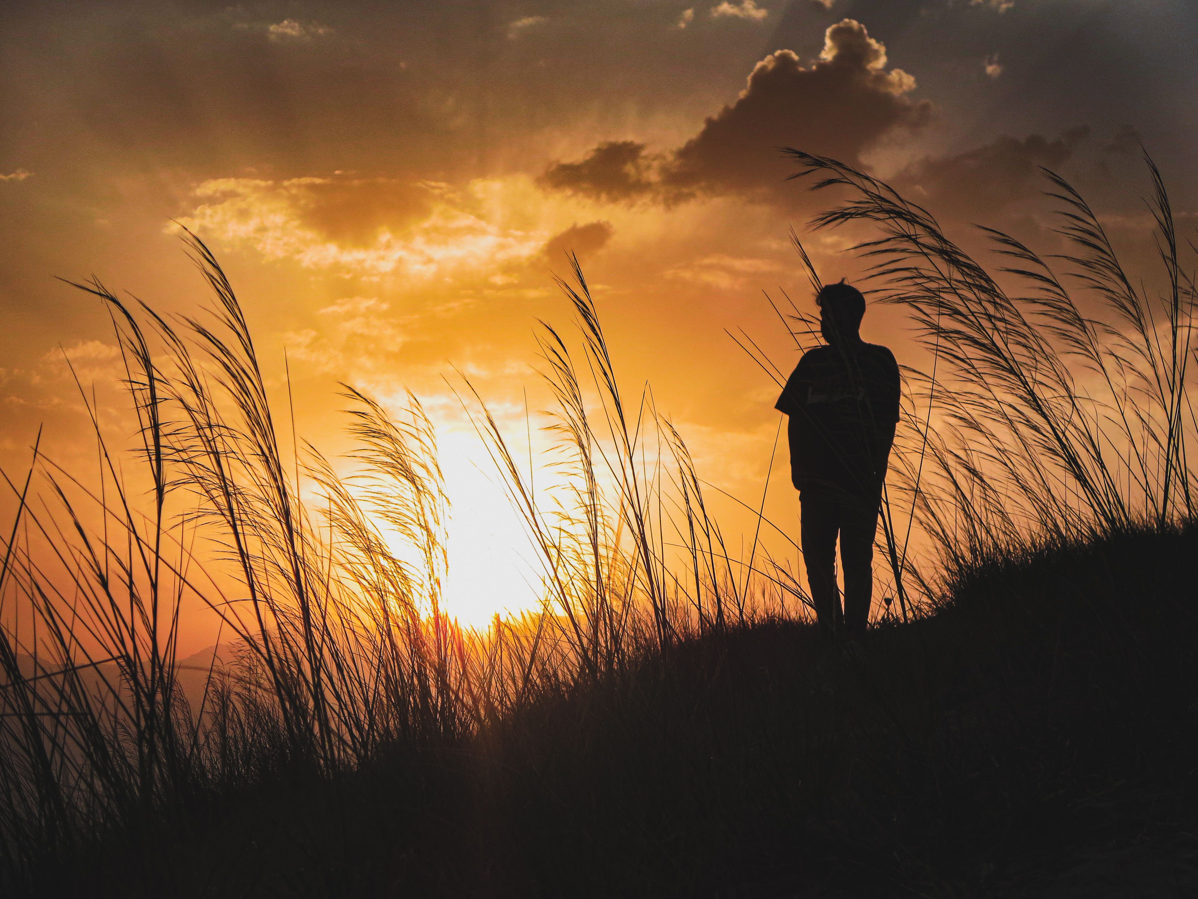 A Person Standing While Raising Her Hands · Free Stock Photo