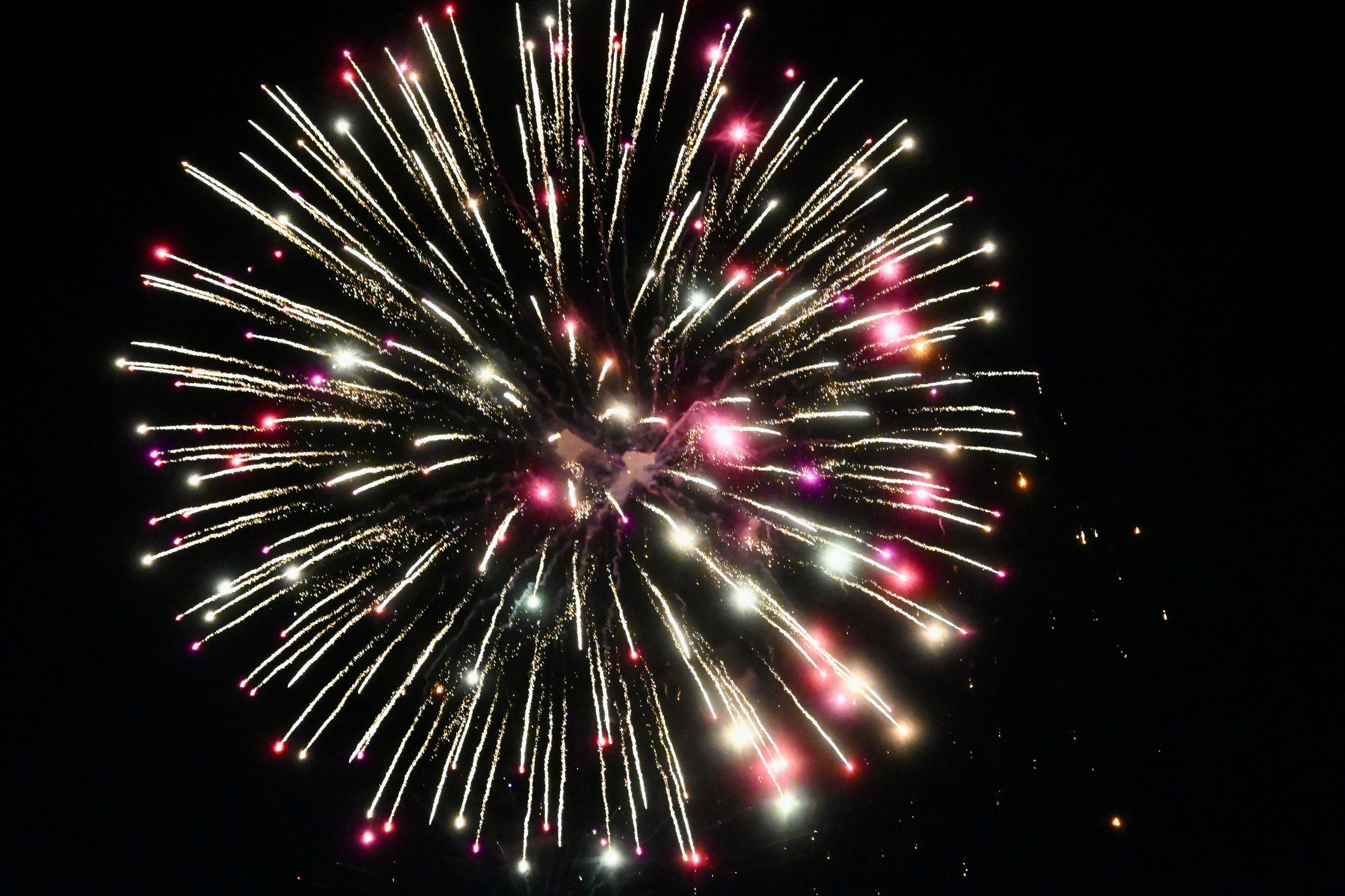 Red and White Fireworks Display at Night · Free Stock Photo