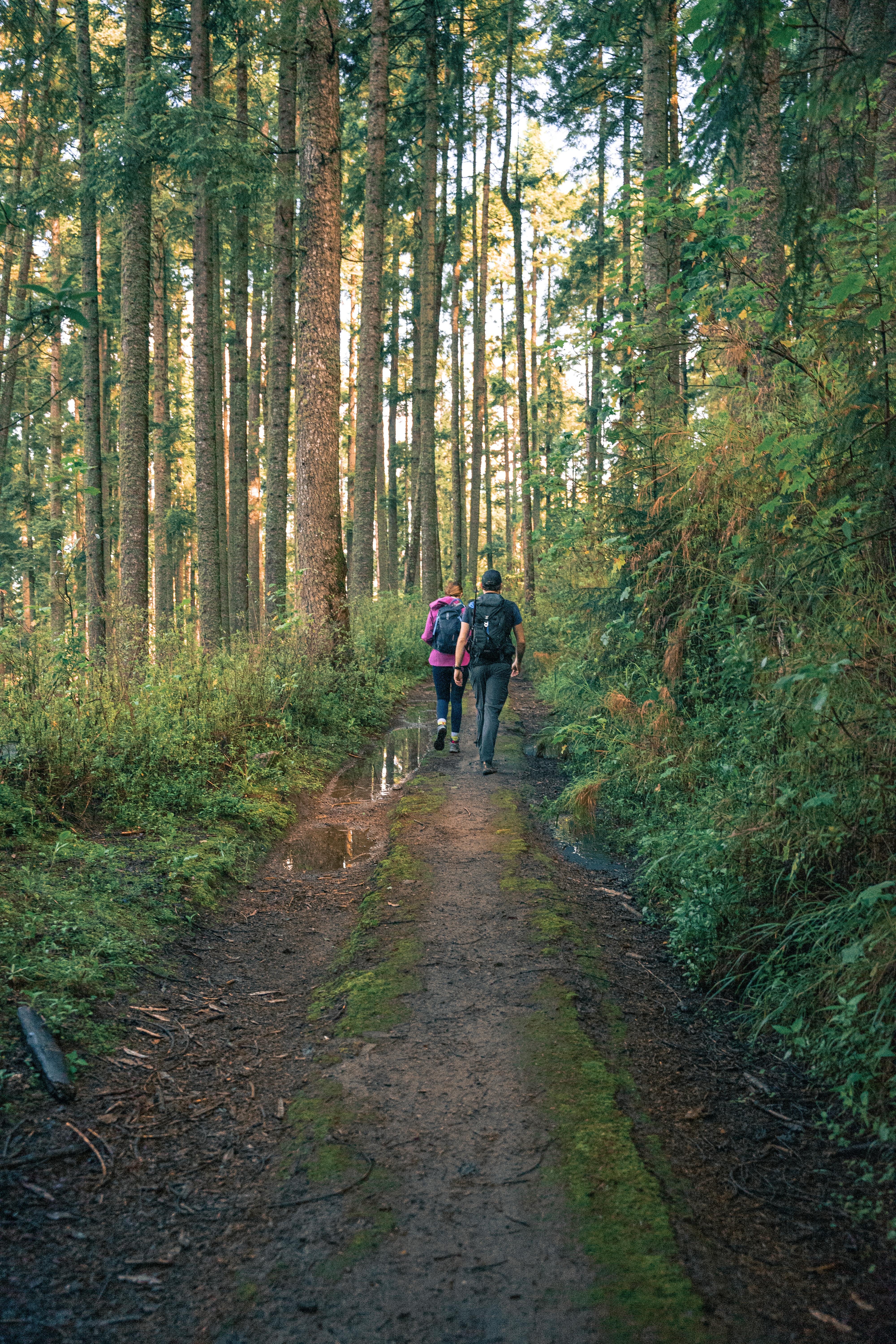 Hikers Walking on a Footpath · Free Stock Photo