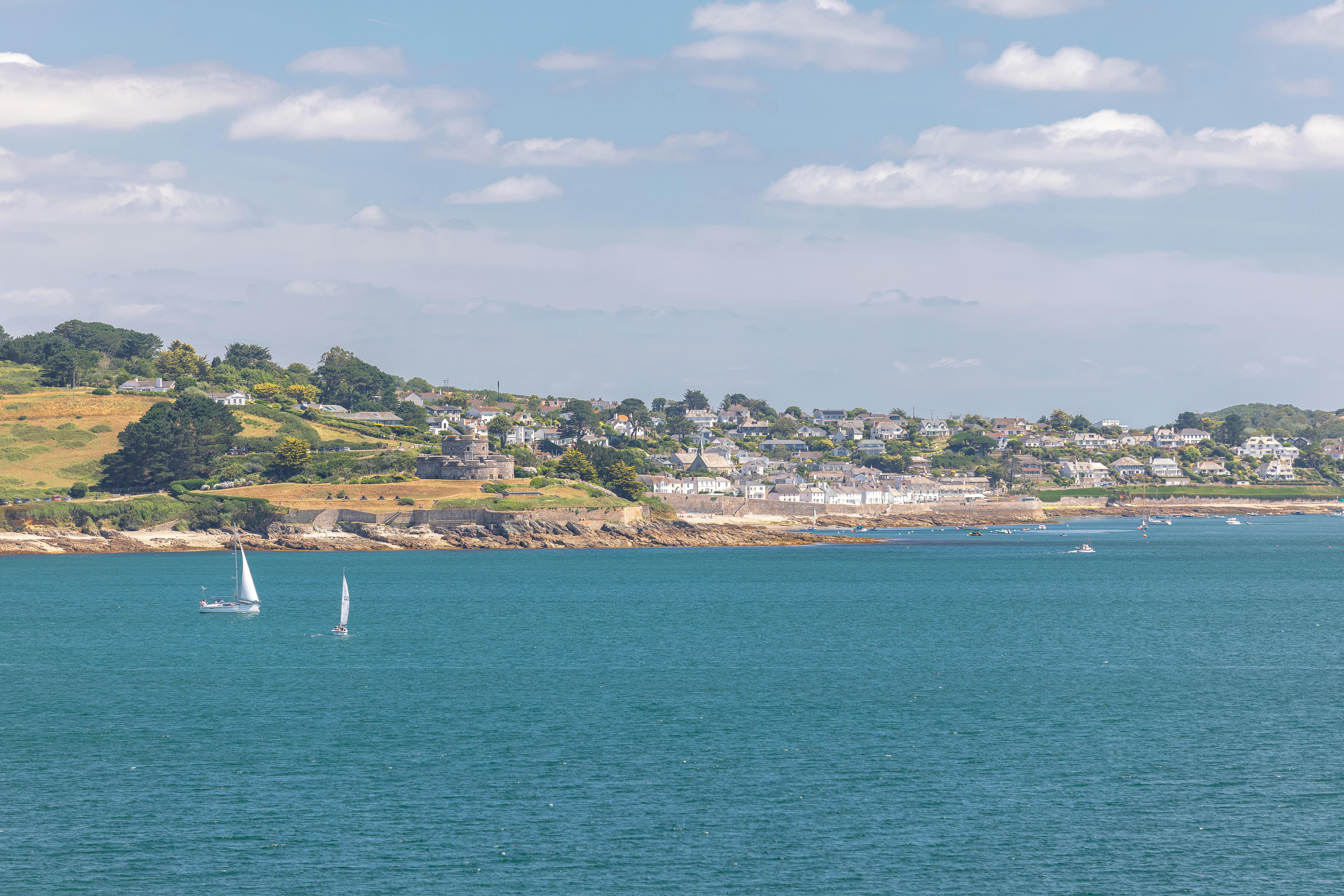 Miki Maws Photos, Download The BEST Free Miki Maws Stock Photos & HD Images