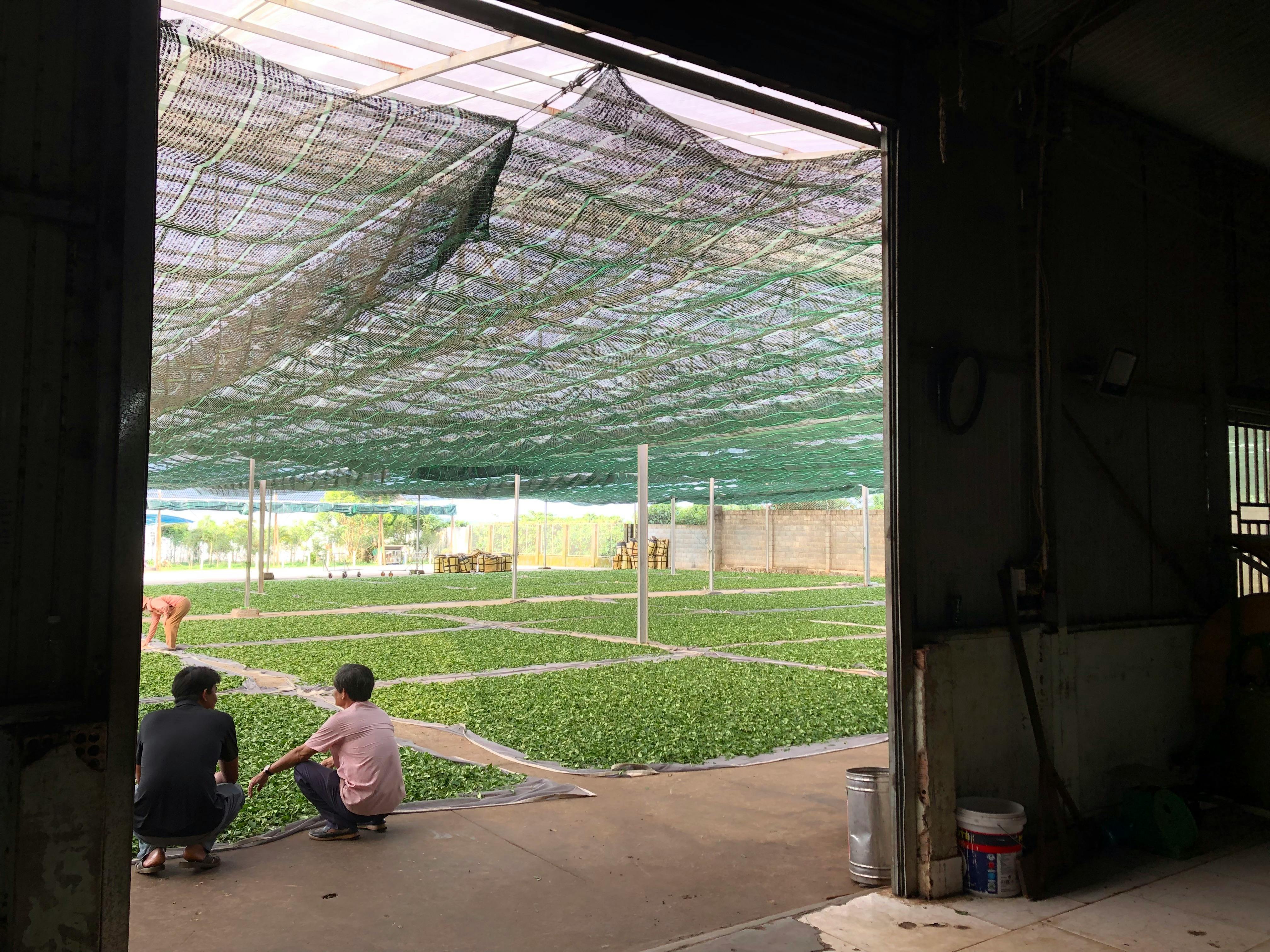 Overhead Net Photos, Download The BEST Free Overhead Net Stock Photos ...