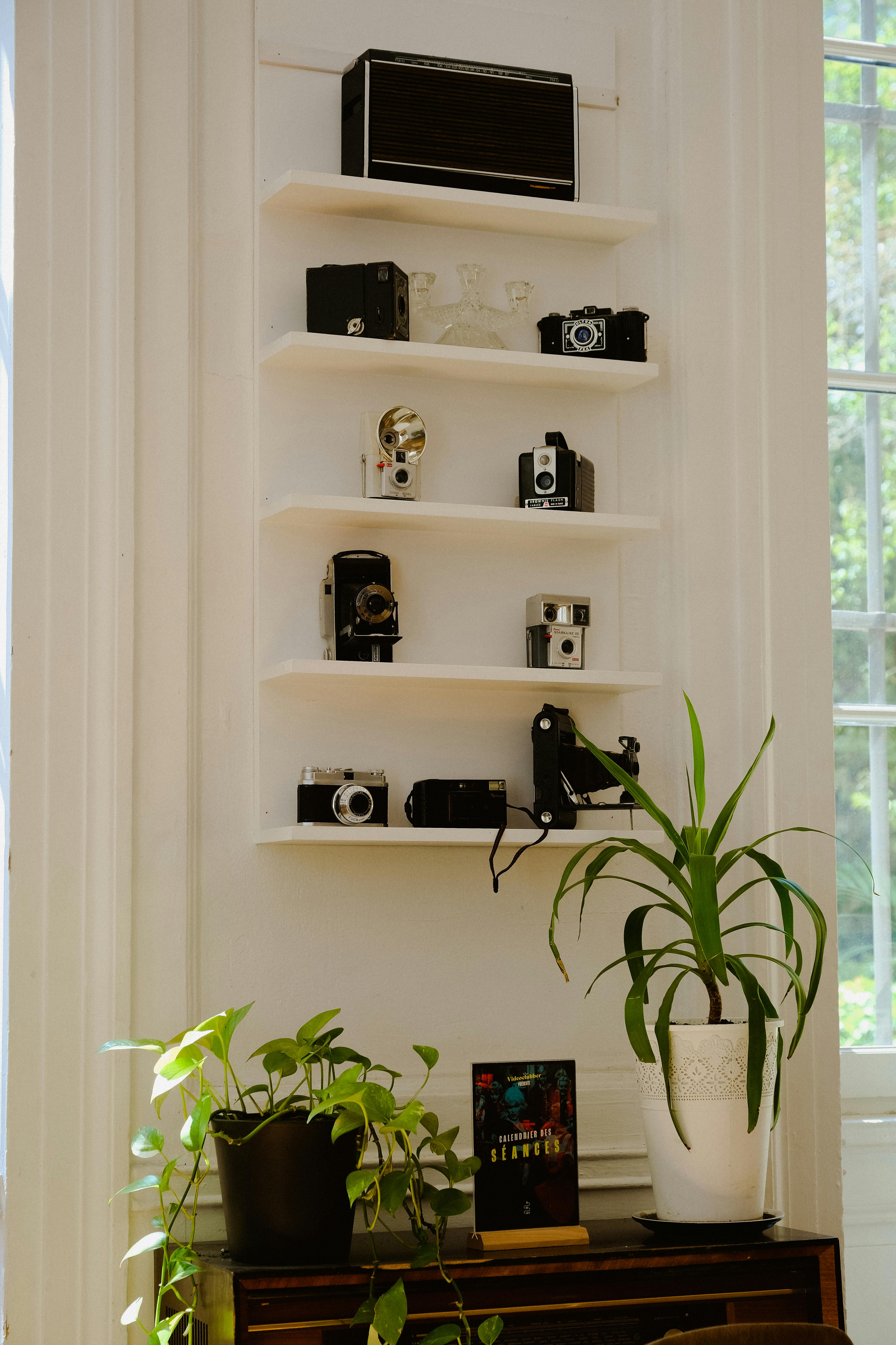 Shelves with Photography Cameras in Home Interior · Free Stock Photo