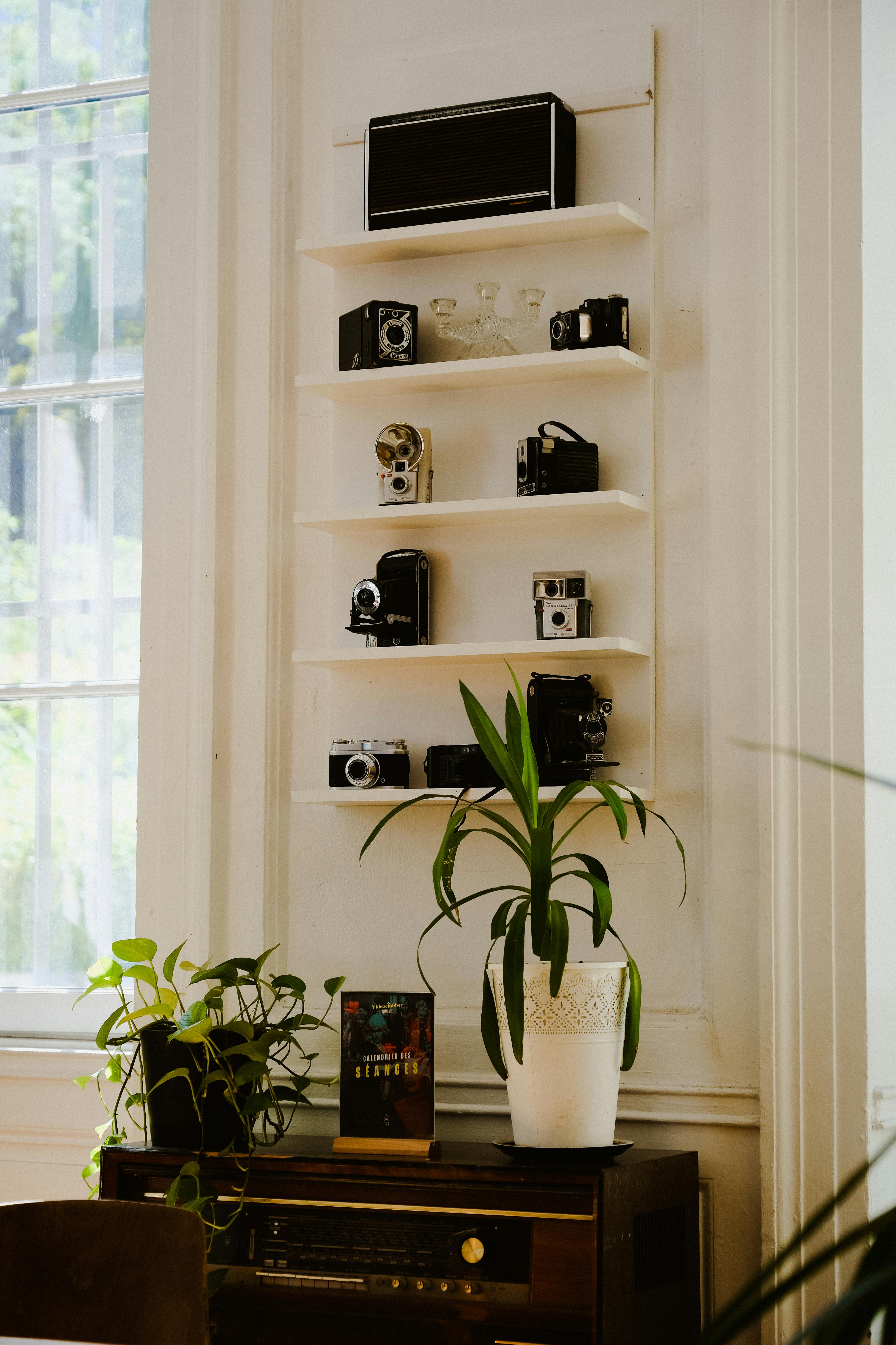 Shelves with Vintage Cameras · Free Stock Photo