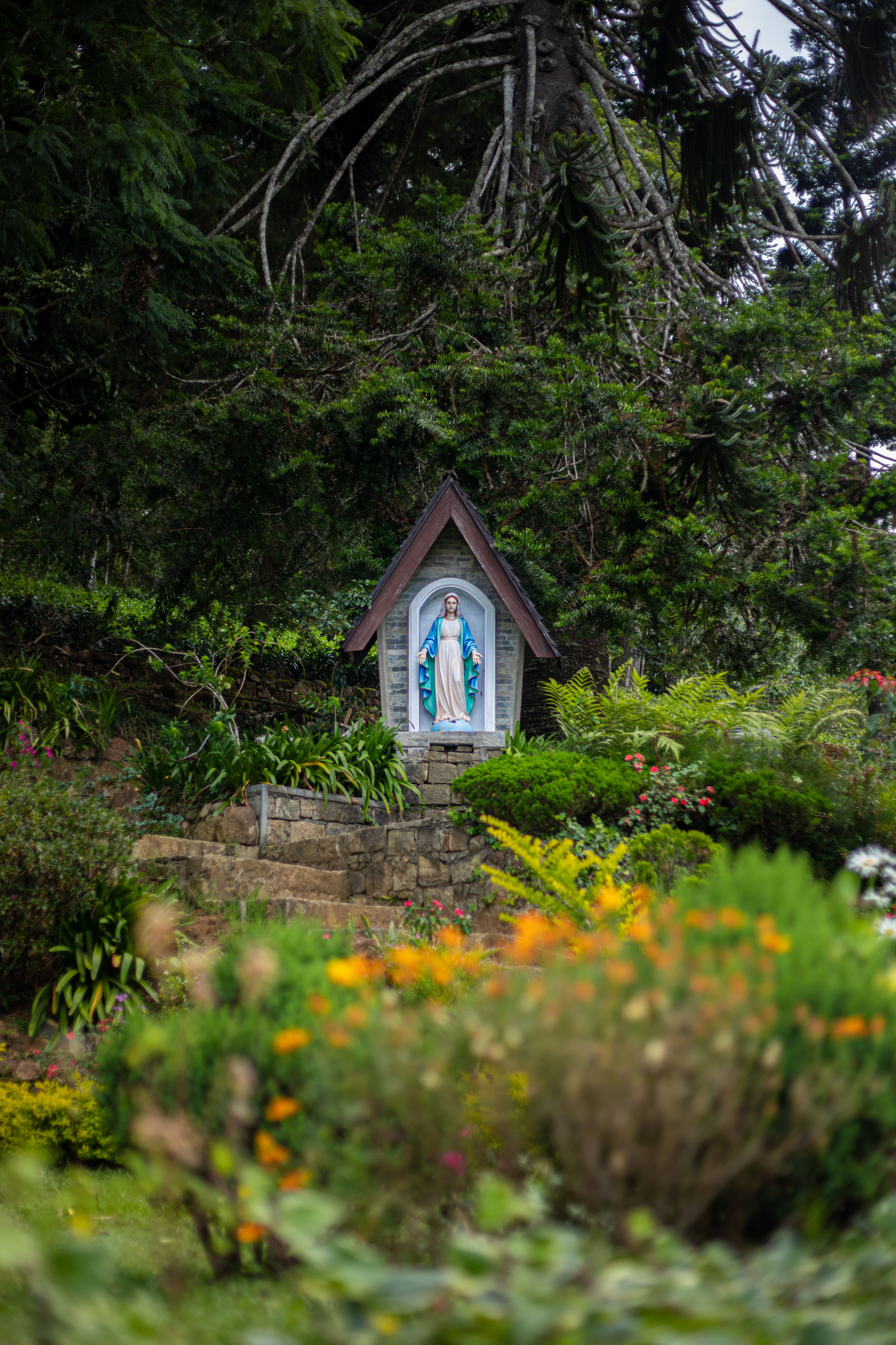 Shrine with a Figurine of the Virgin Mary in the Woods · Free Stock Photo