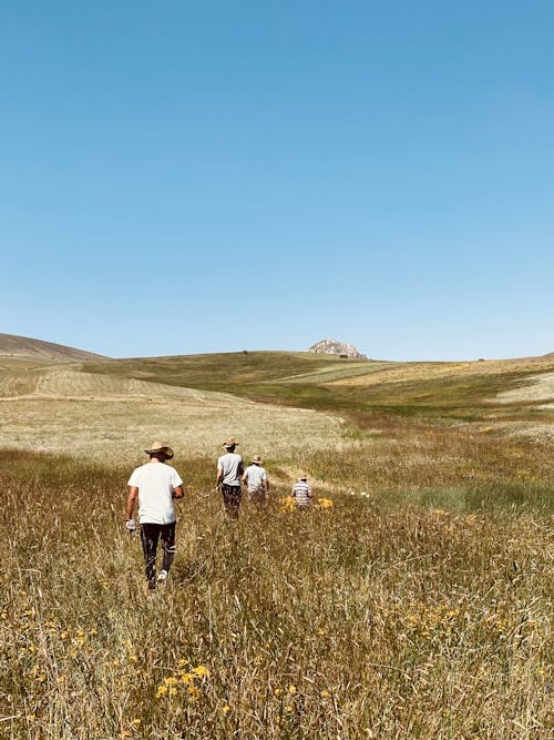 Man Walking Green Field at Daytime · Free Stock Photo Man Walking Green Field at Daytime · Free Stock Photo