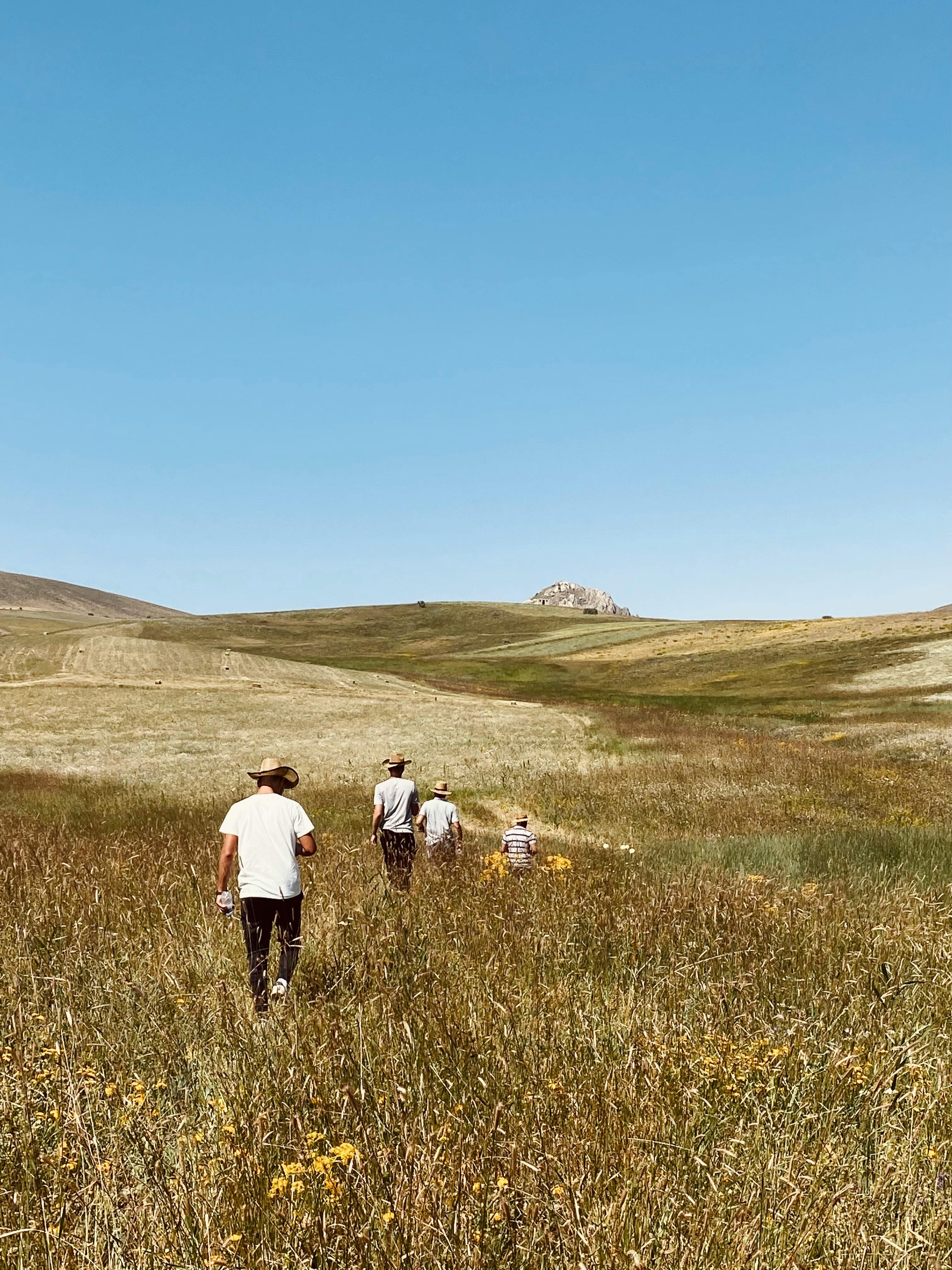 Man Walking Green Field at Daytime · Free Stock Photo