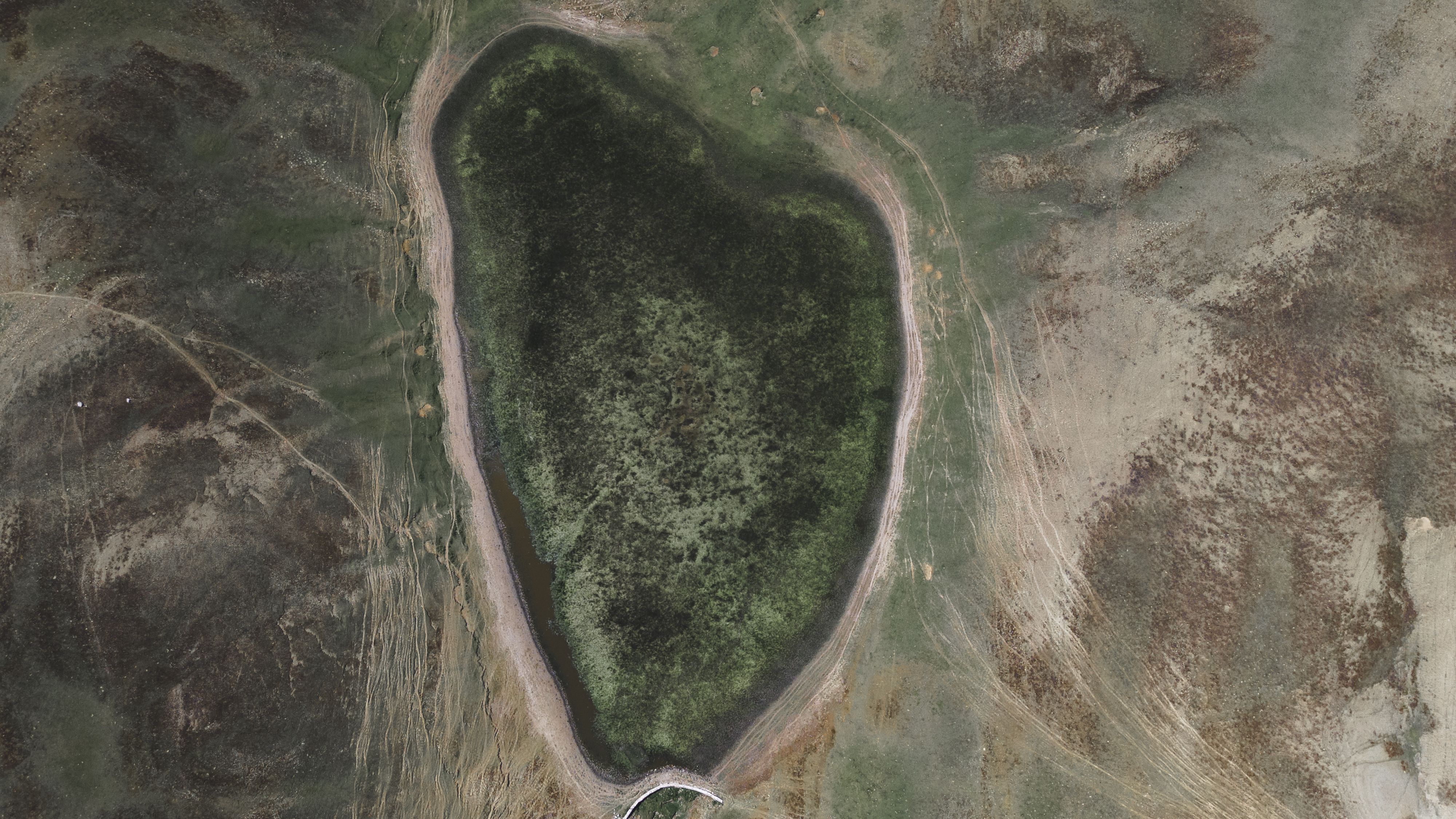 Birds Eye View of Grassland · Free Stock Photo