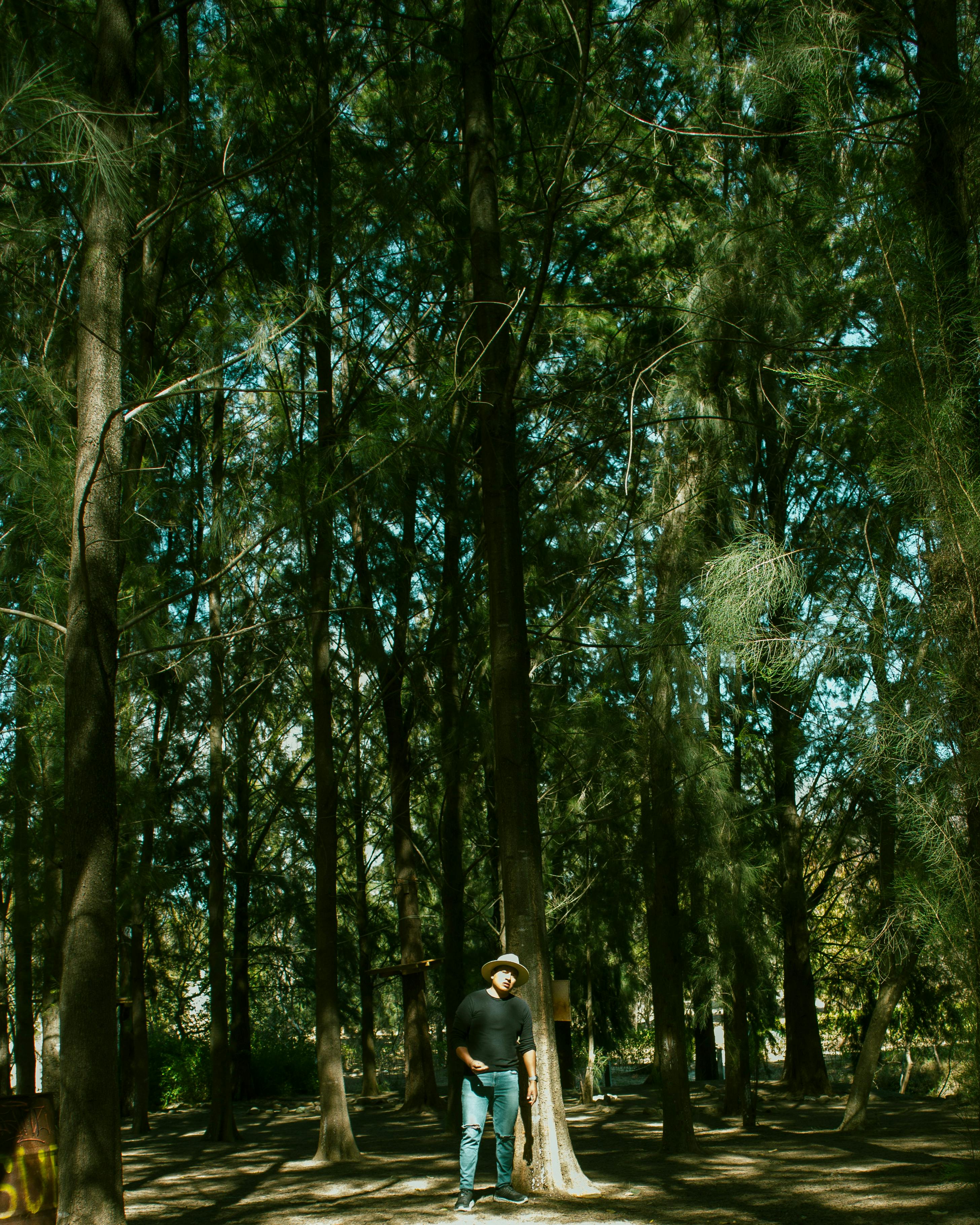 A Man Standing under the Green Tree · Free Stock Photo