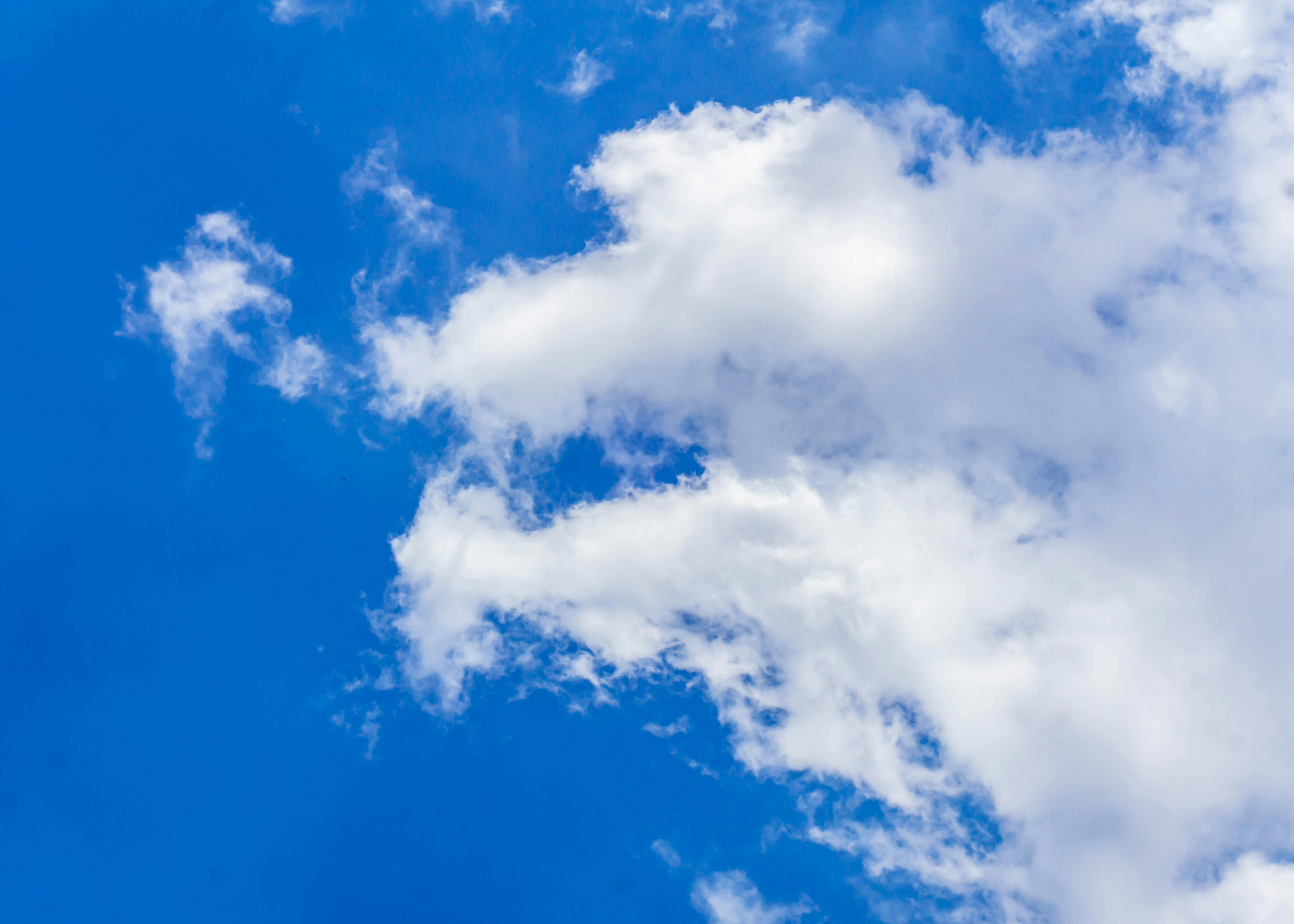 esela studio - 사진