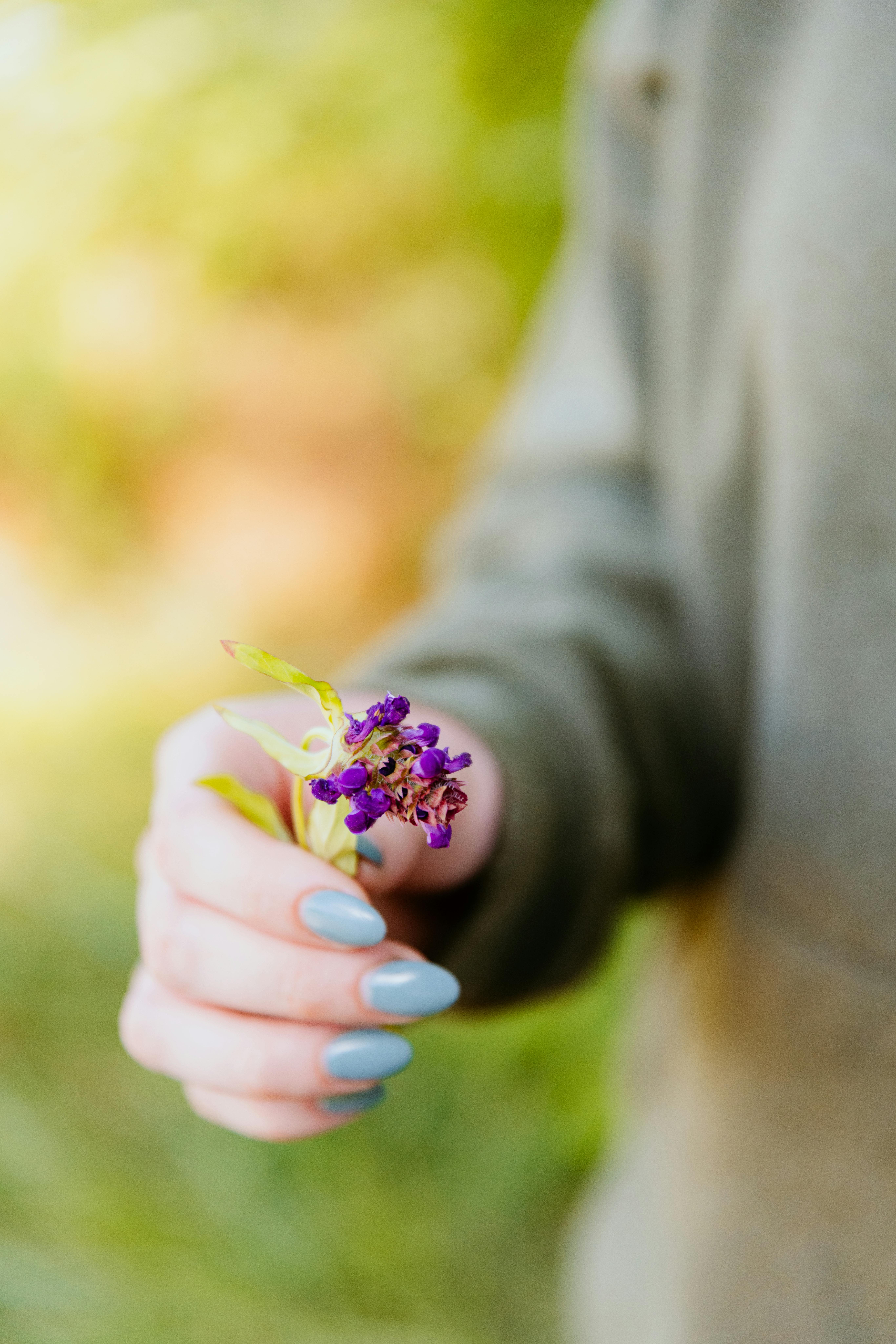 Person Holding Note with Be Kind Text · Free Stock Photo