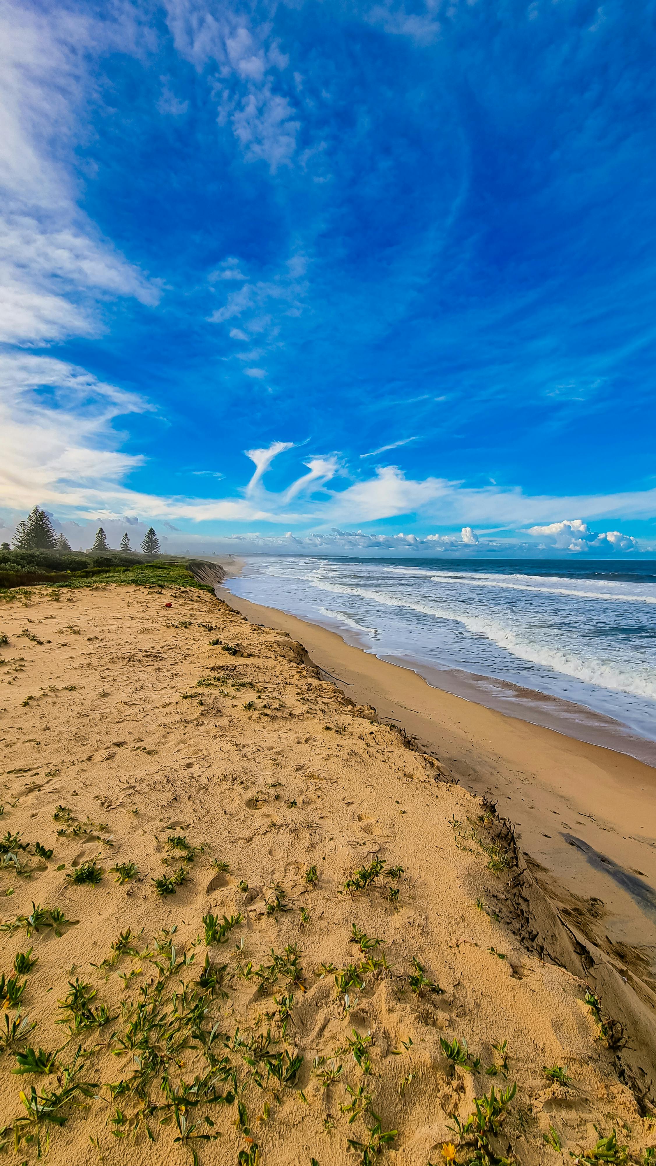 A Brown Sand Beach Under Blue Sky · Free Stock Photo