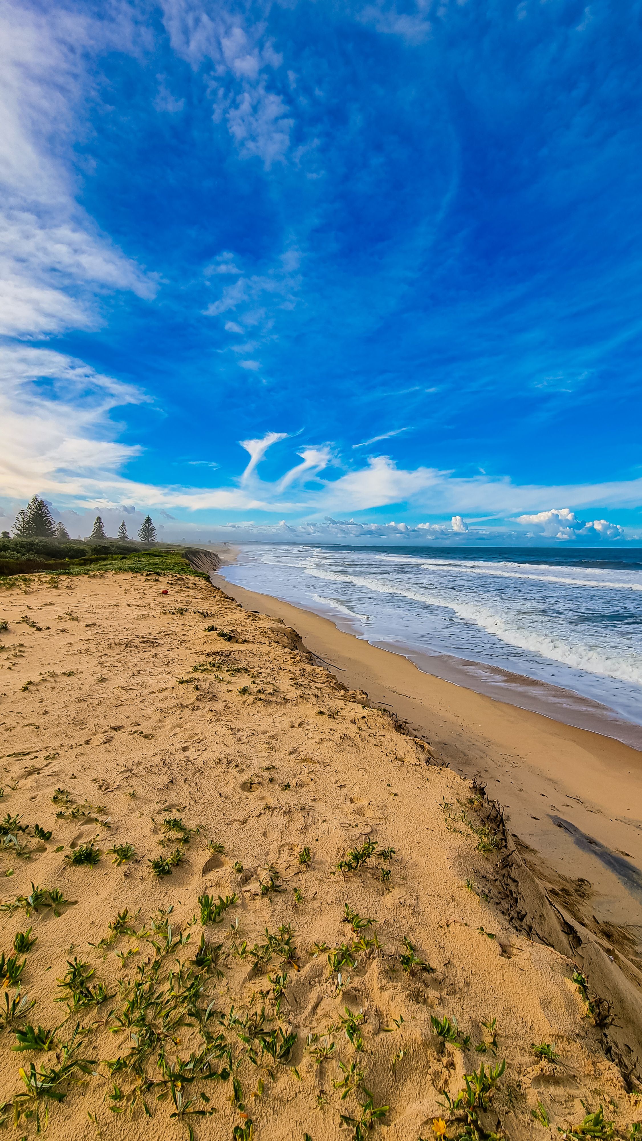 Wave on Beach · Free Stock Photo