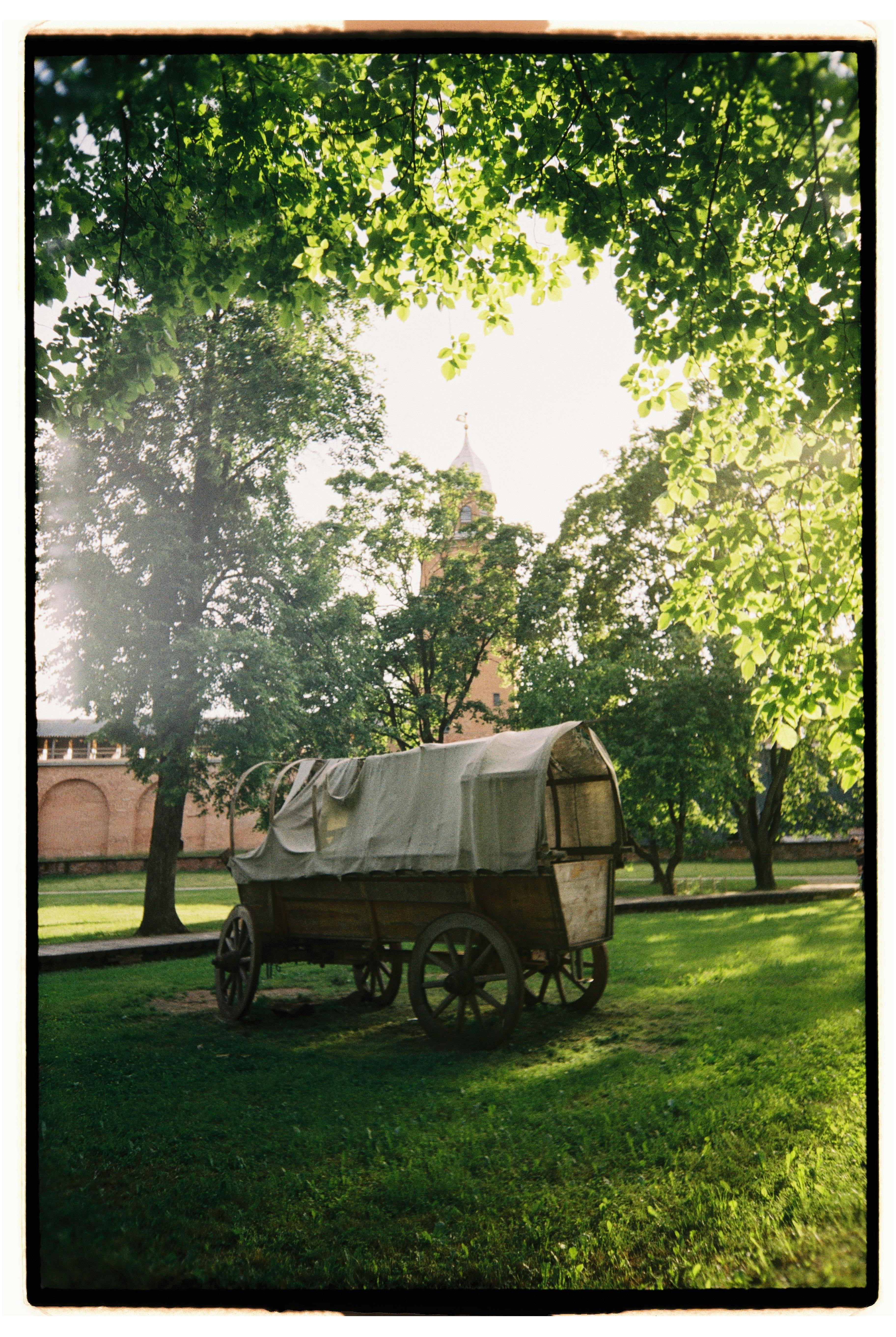 Vintage American Western Wagon on Grass · Free Stock Photo