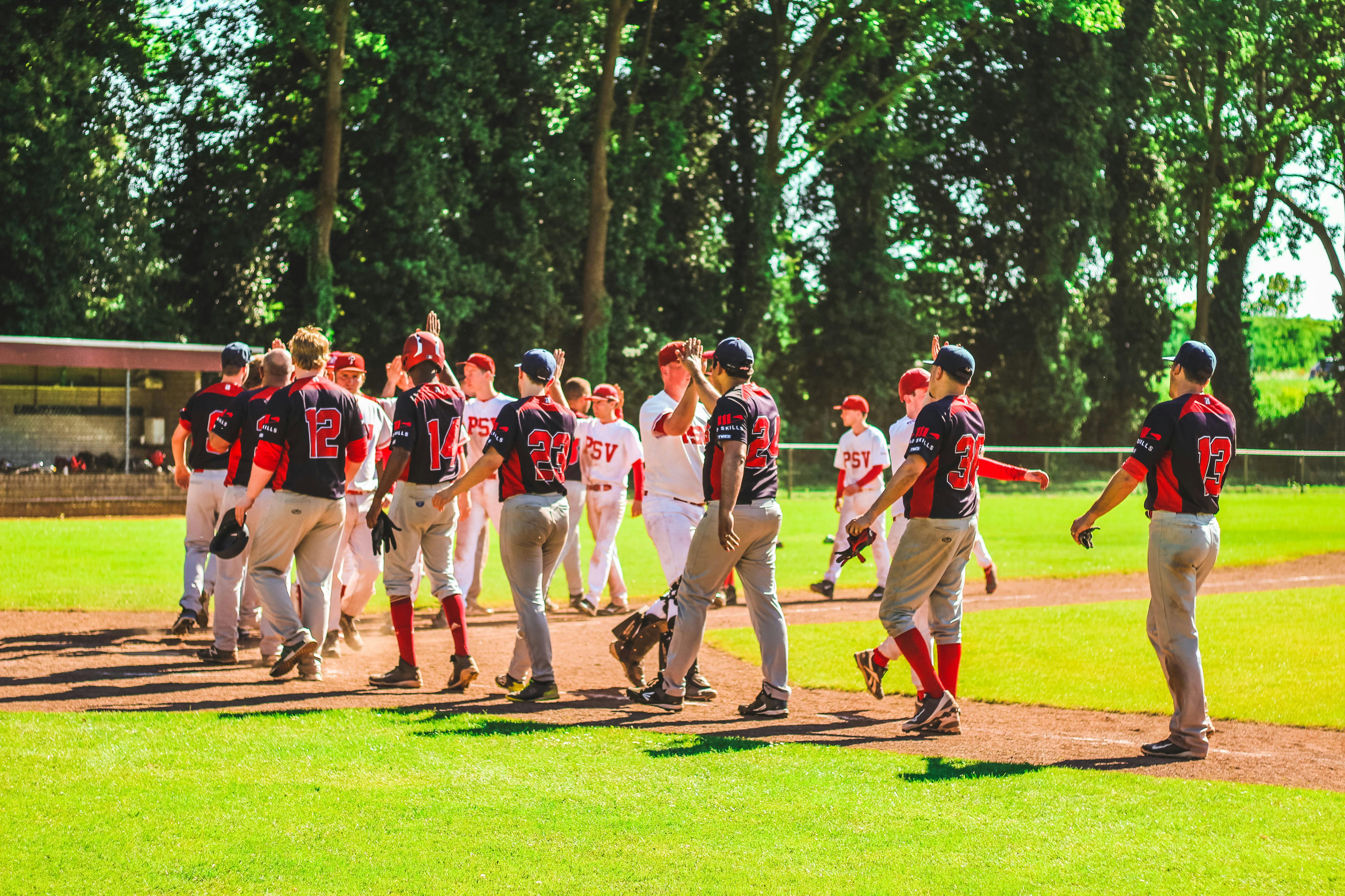 Free stock photo of baseball, indians