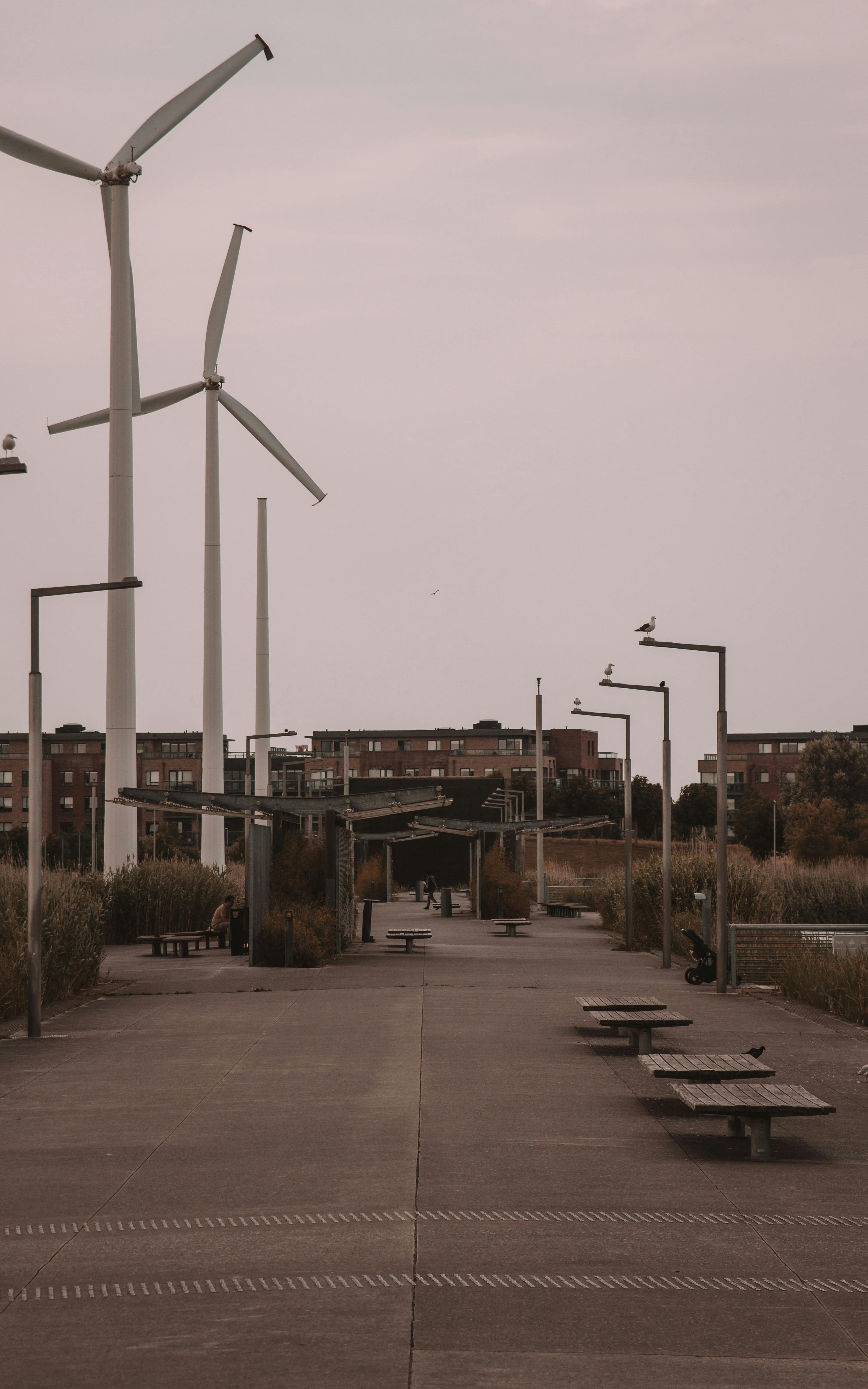 Site Wind Photos, Download Free Site Wind Stock Photos & HD Images