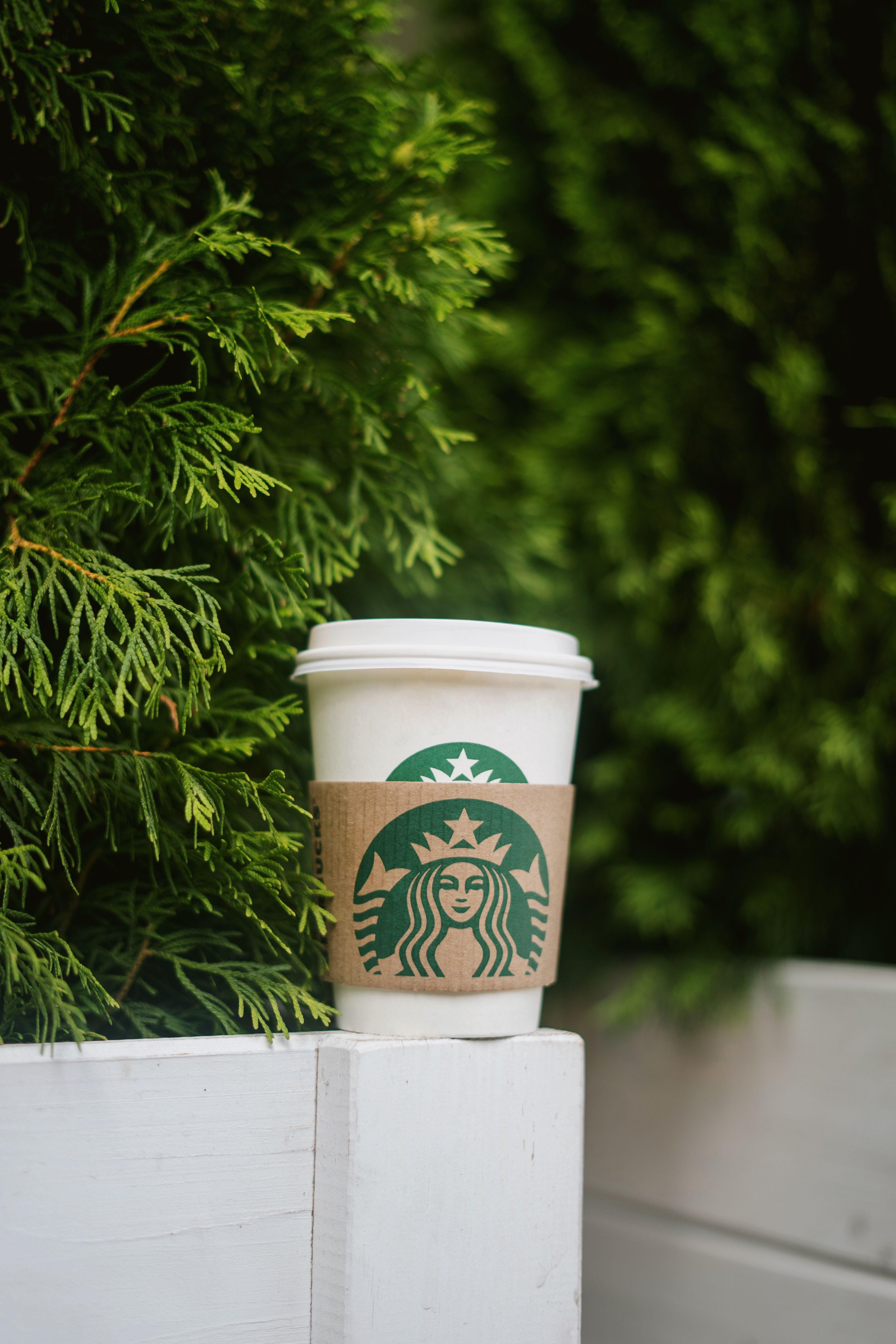 Close-Up Shot of a Starbucks Beverage · Free Stock Photo
