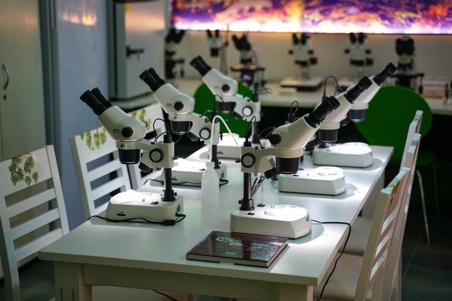 Laboratory Mice: History, Biology, and Research Explained
