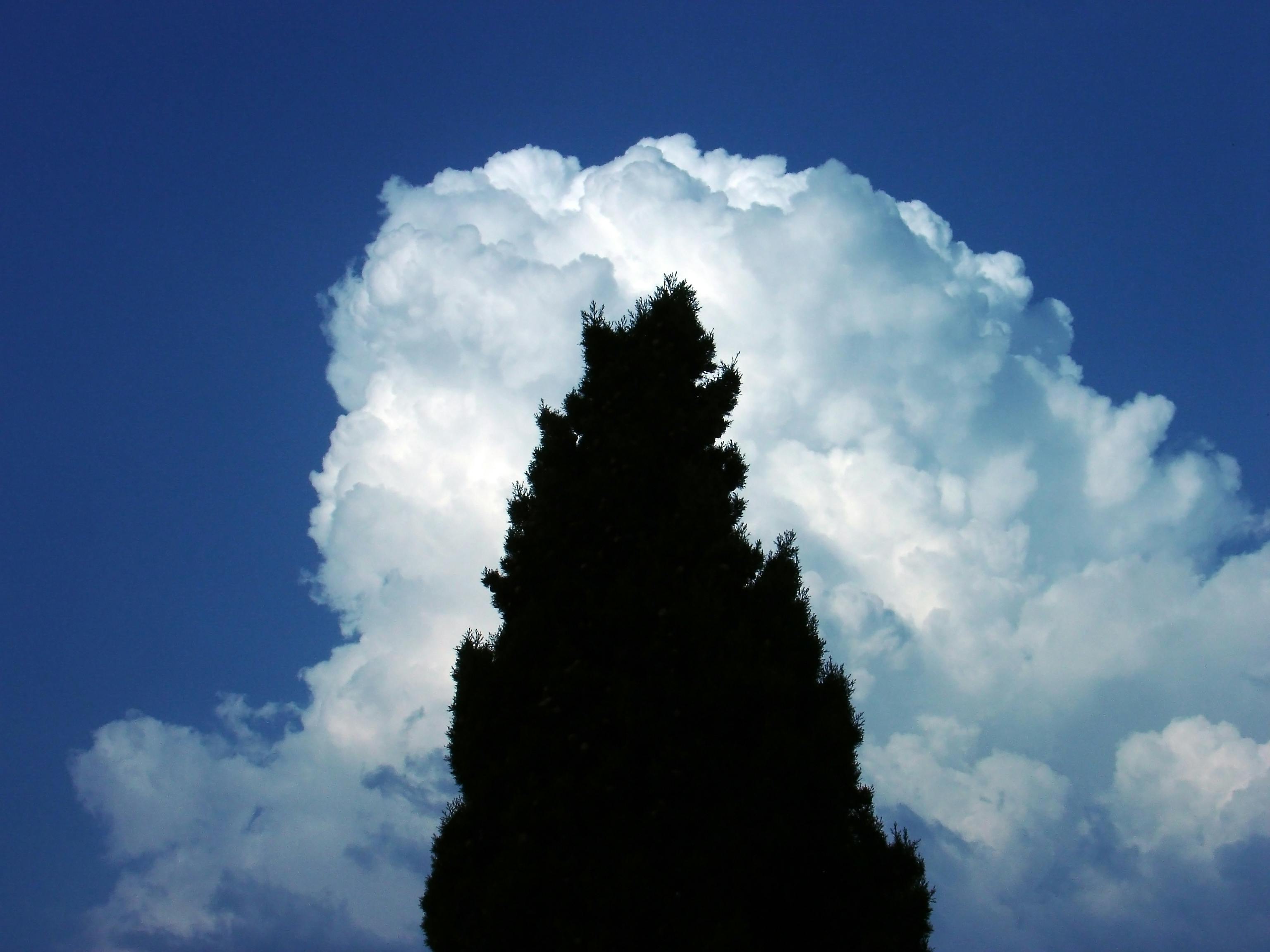 White and Blue Arrow Sign Under Blue and White Cloudy Sky · Free Stock ...