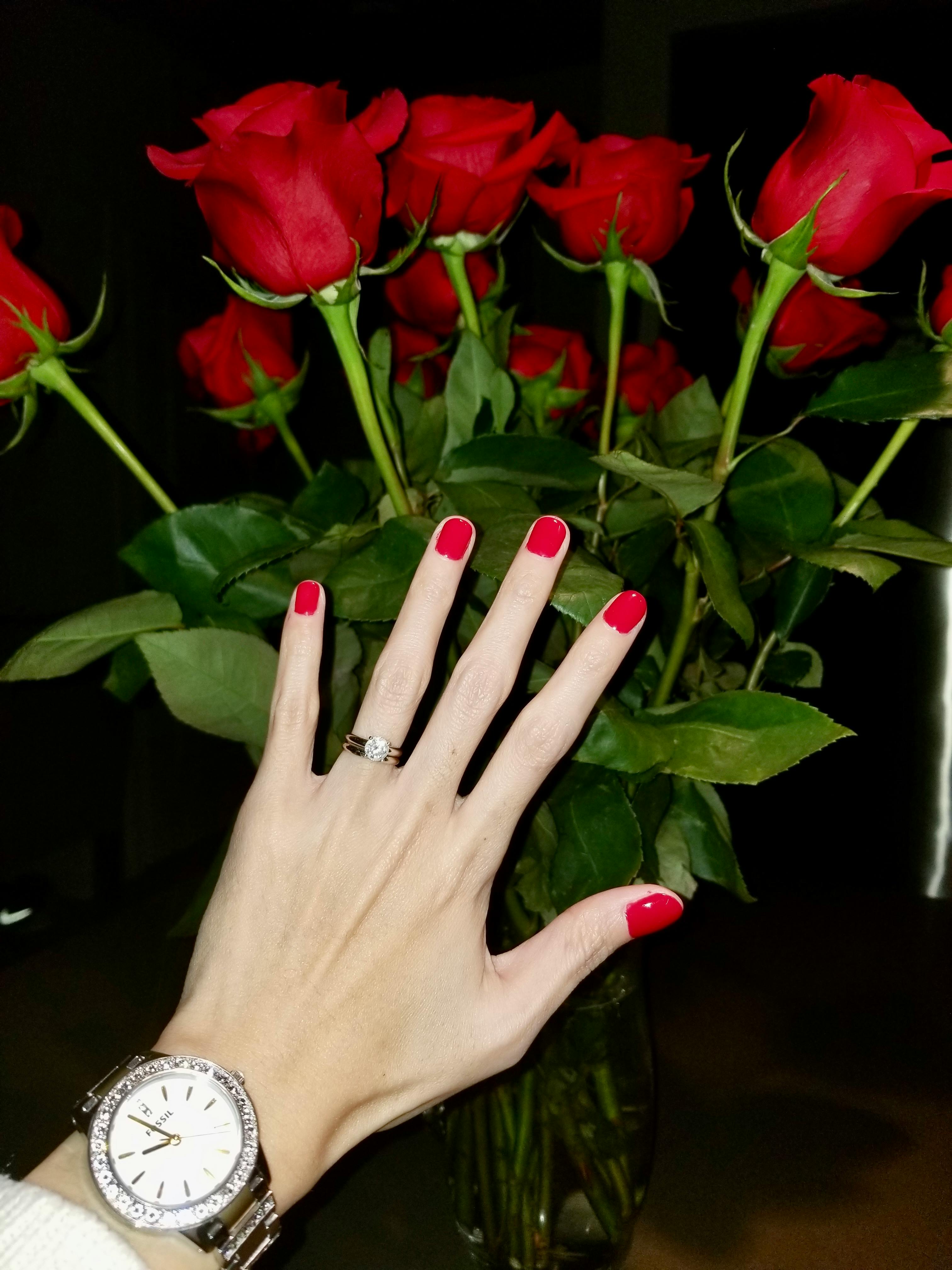 Person Holding Red Rose Flowers · Free Stock Photo