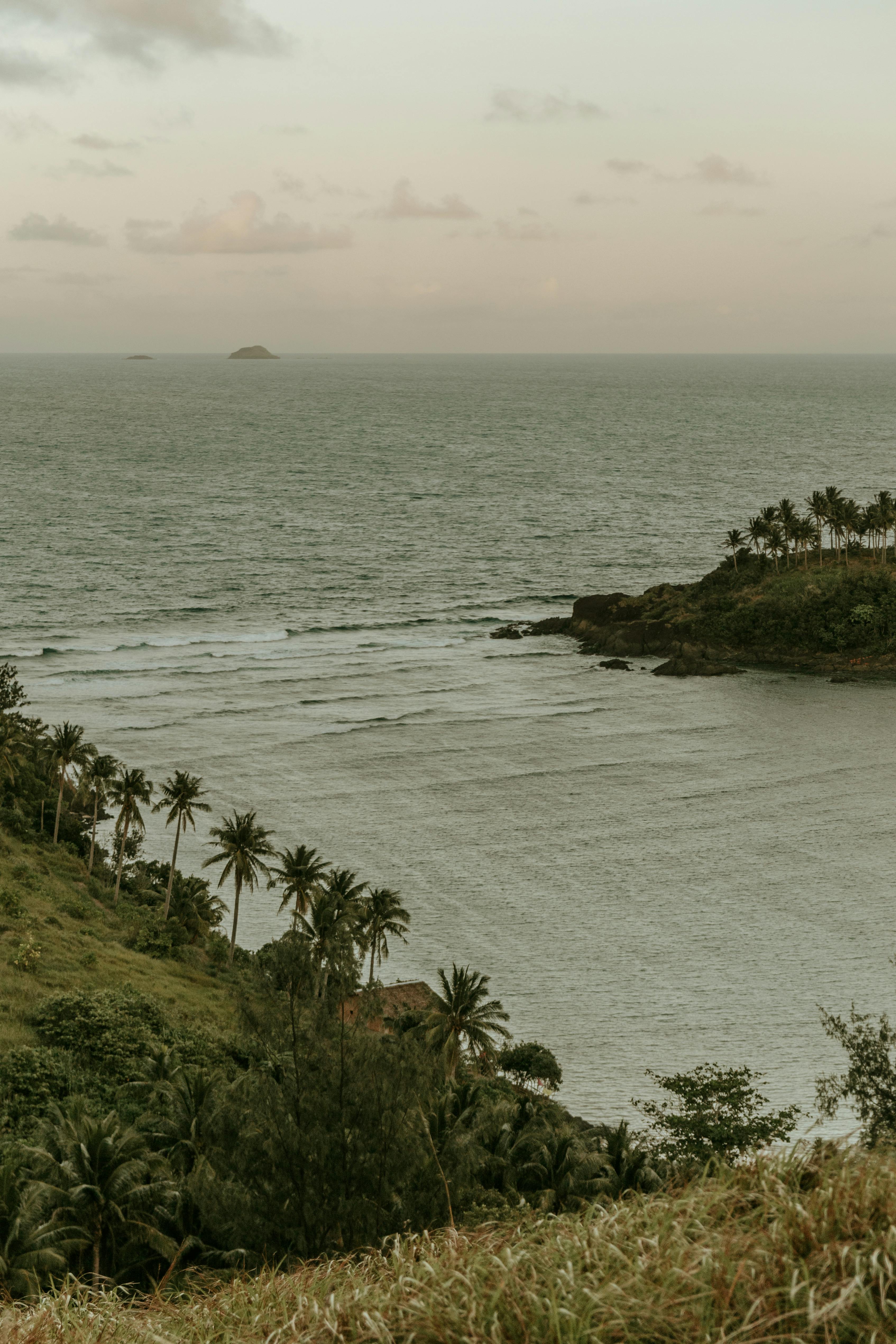 Tree Stump in a Transparent Sea · Free Stock Photo