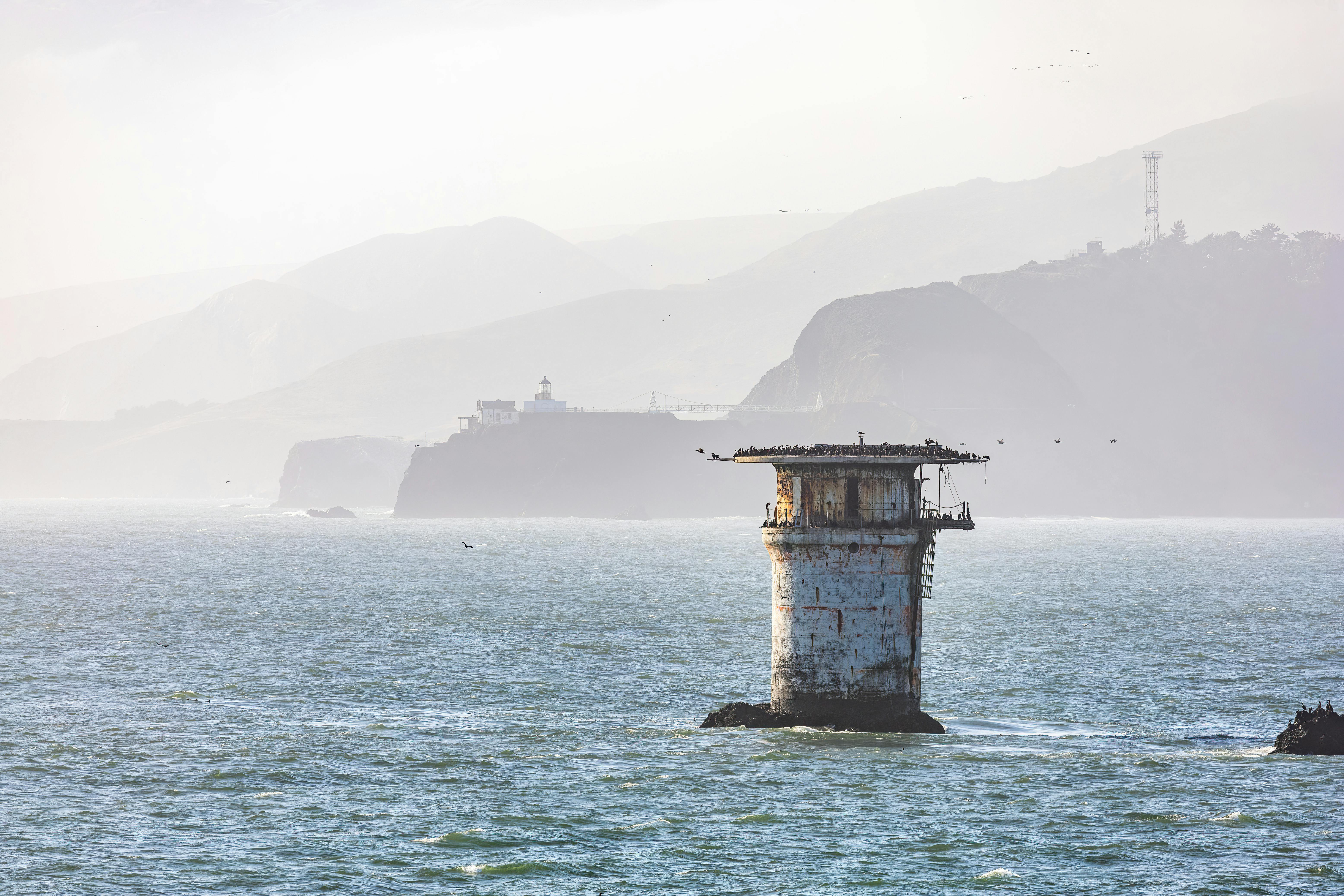 Photo of a Foggy Seacoast · Free Stock Photo