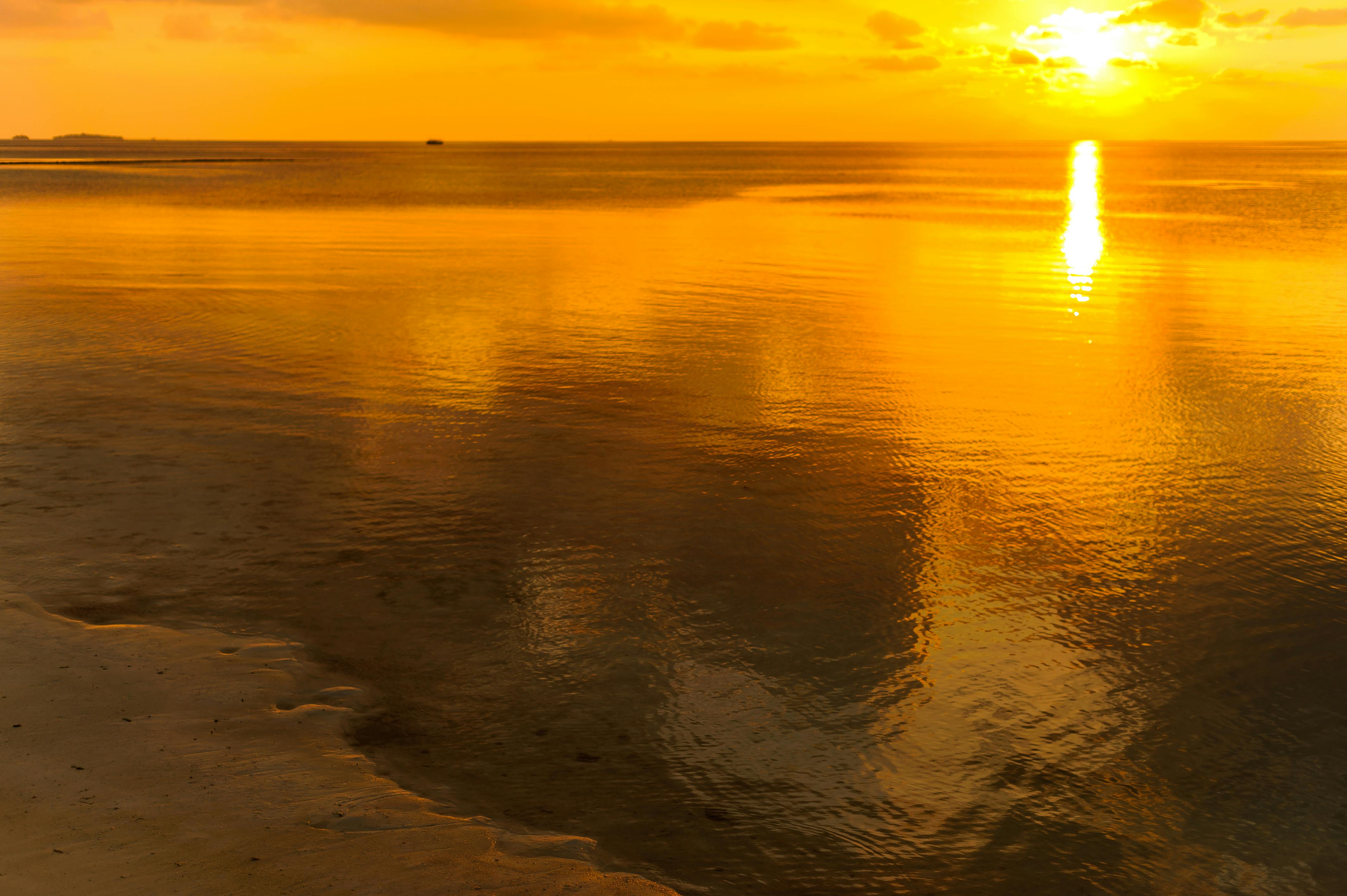 Ocean during Sunset · Free Stock Photo