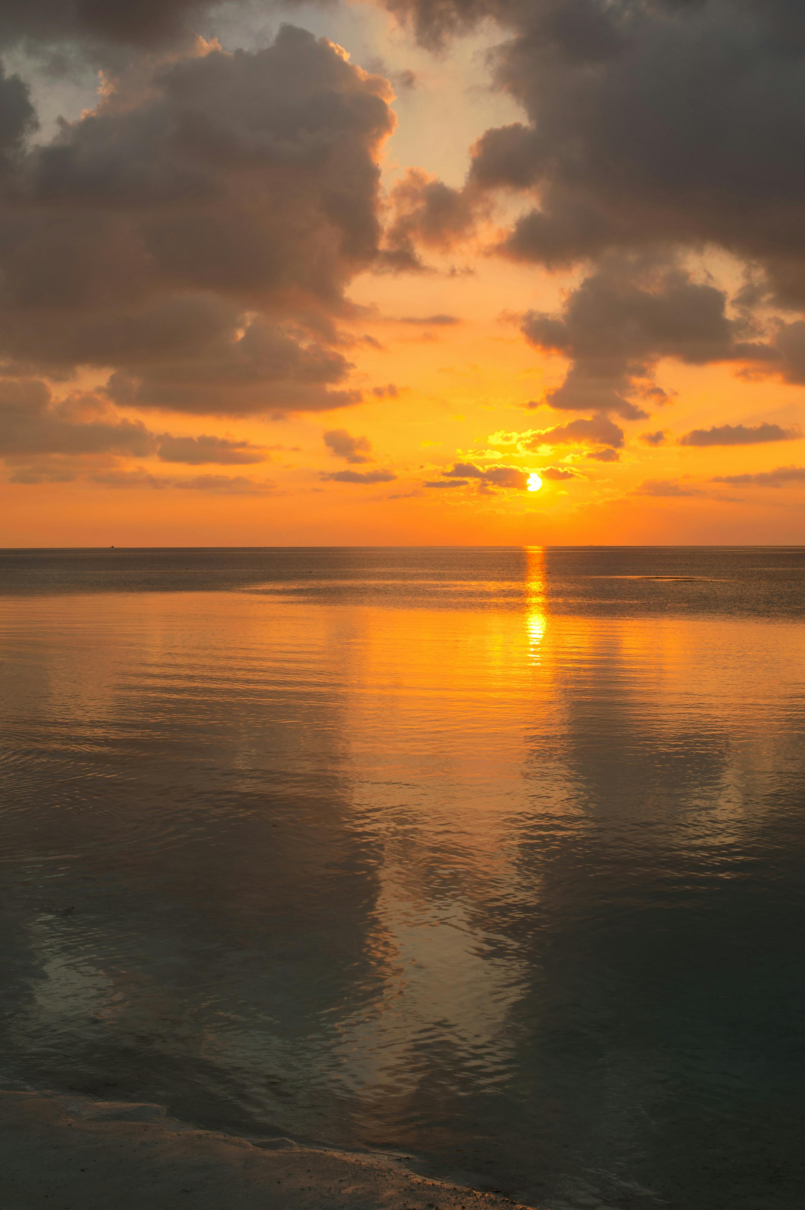 Ocean during Sunset · Free Stock Photo