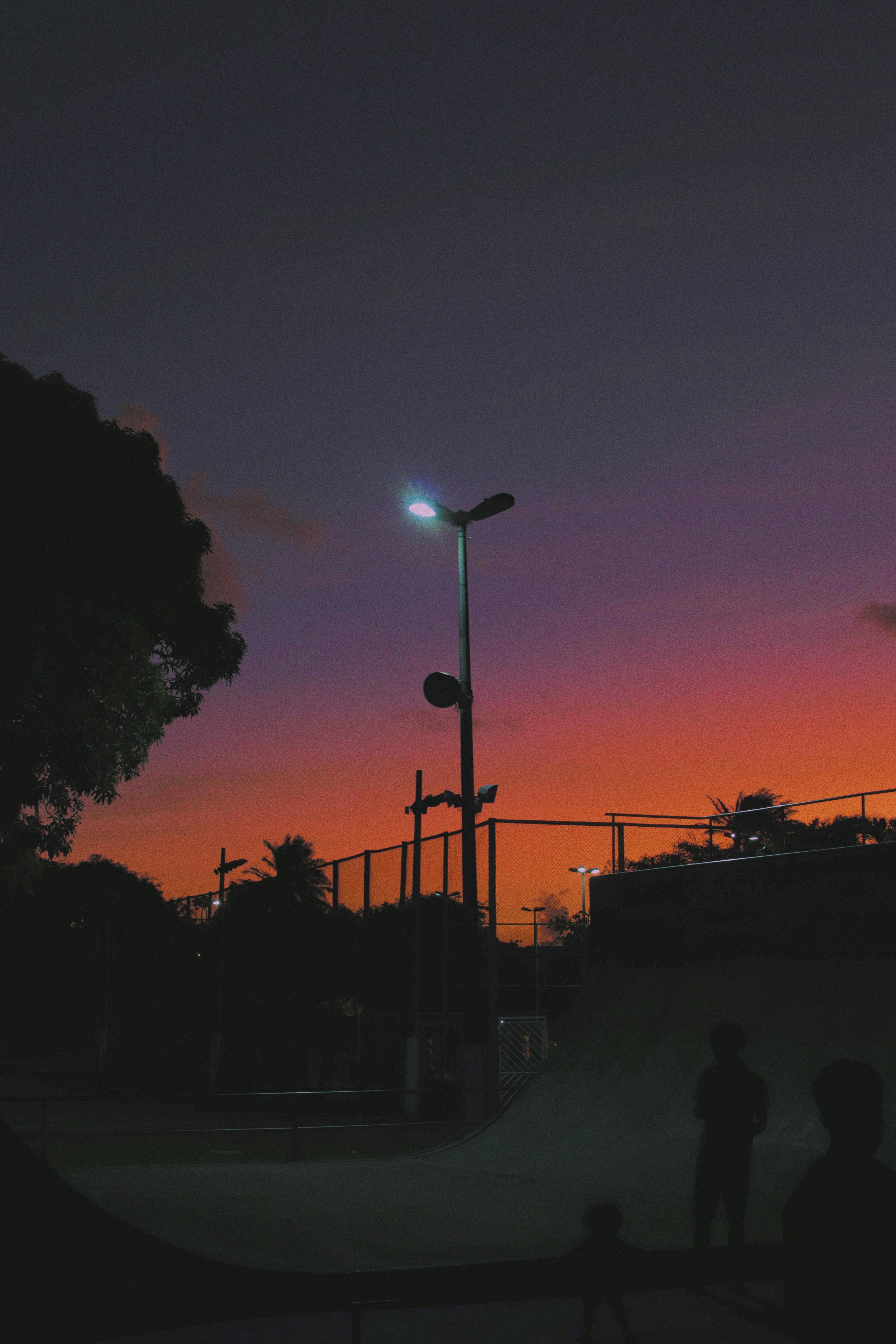 9 77 Photos & Videos Collected by Pexels User