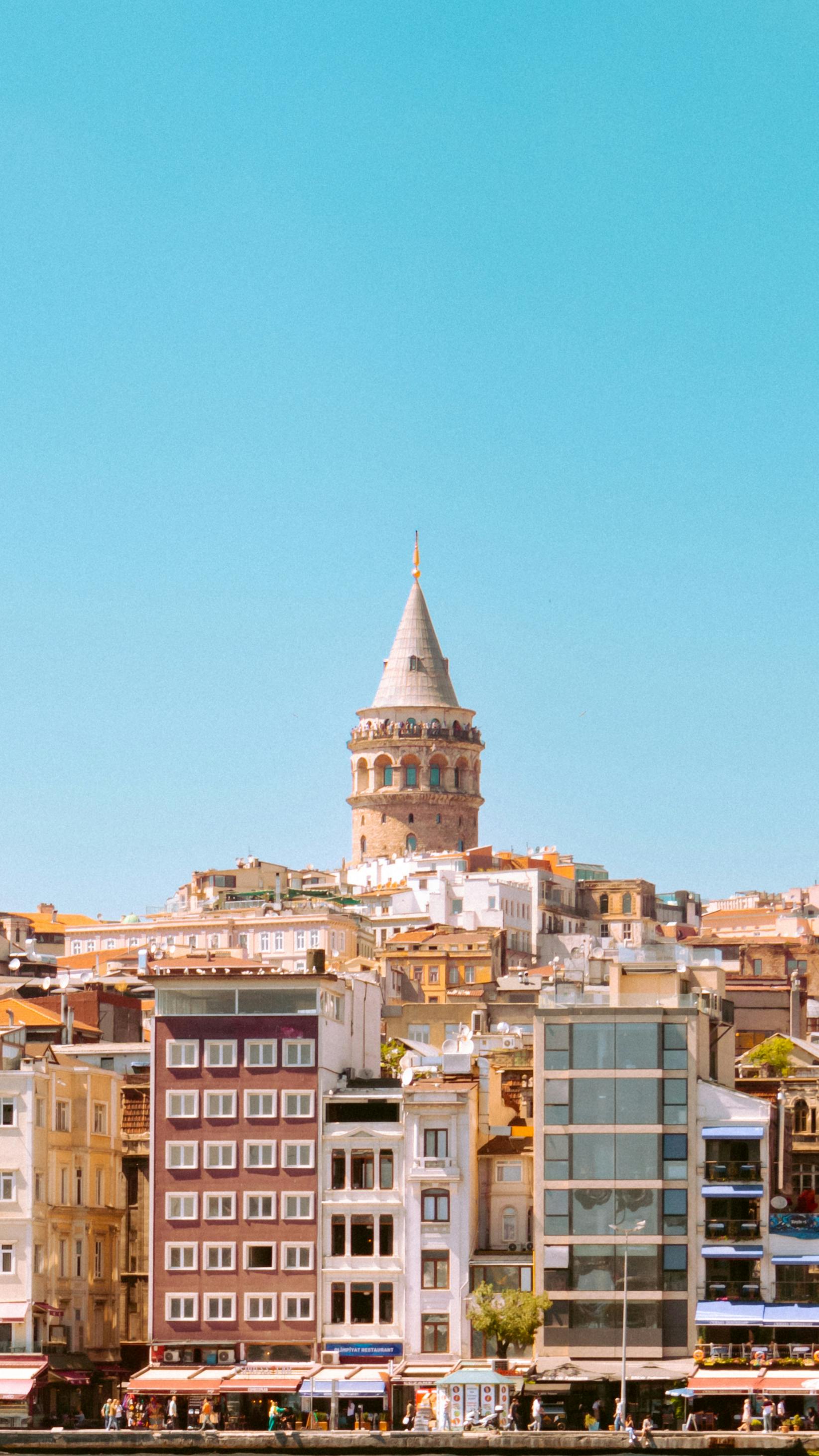 Bird Flying over City Buildings · Free Stock Photo