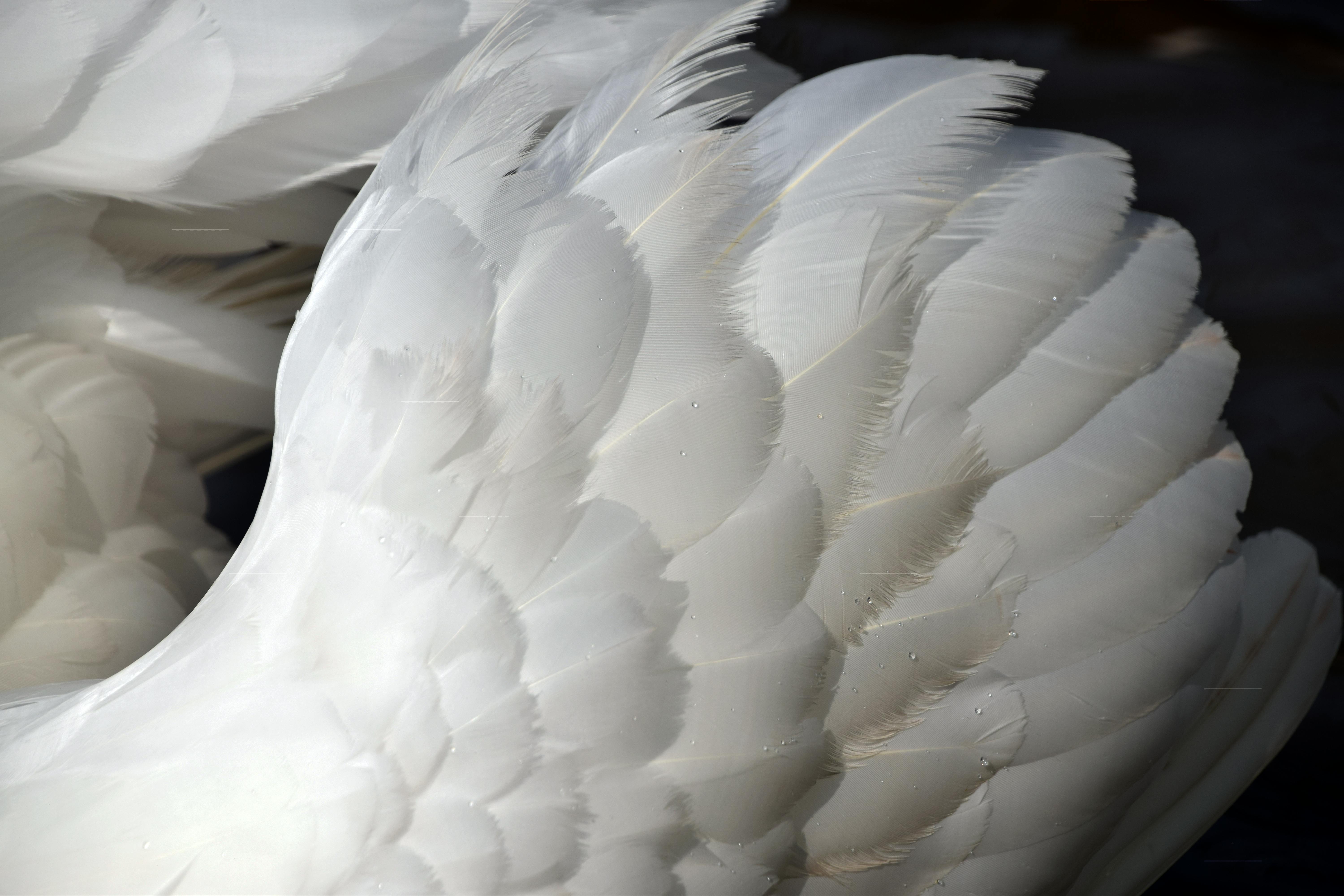 Sarah Bennett - Fotografía