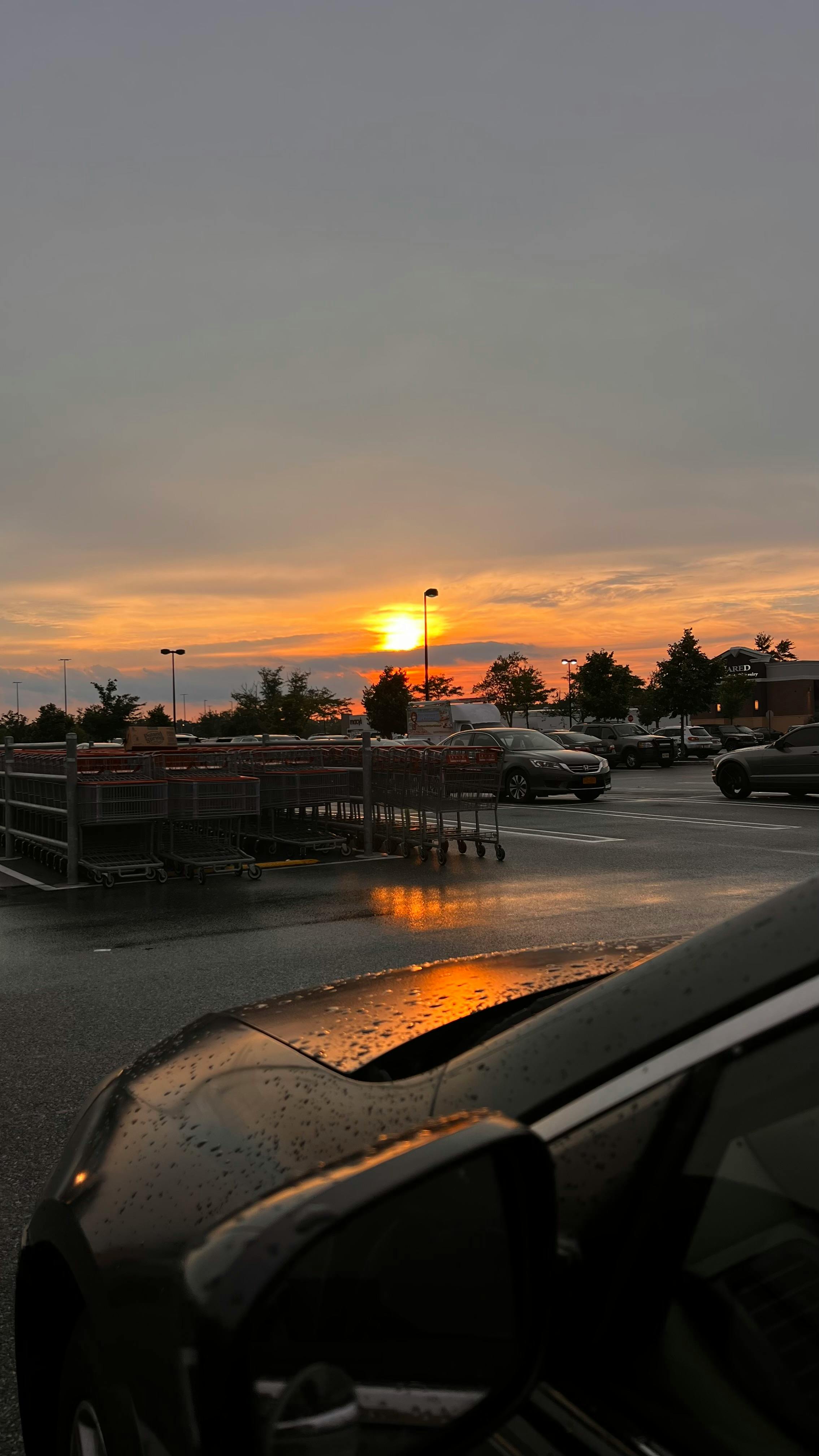 Ray Sanchez - 摄影