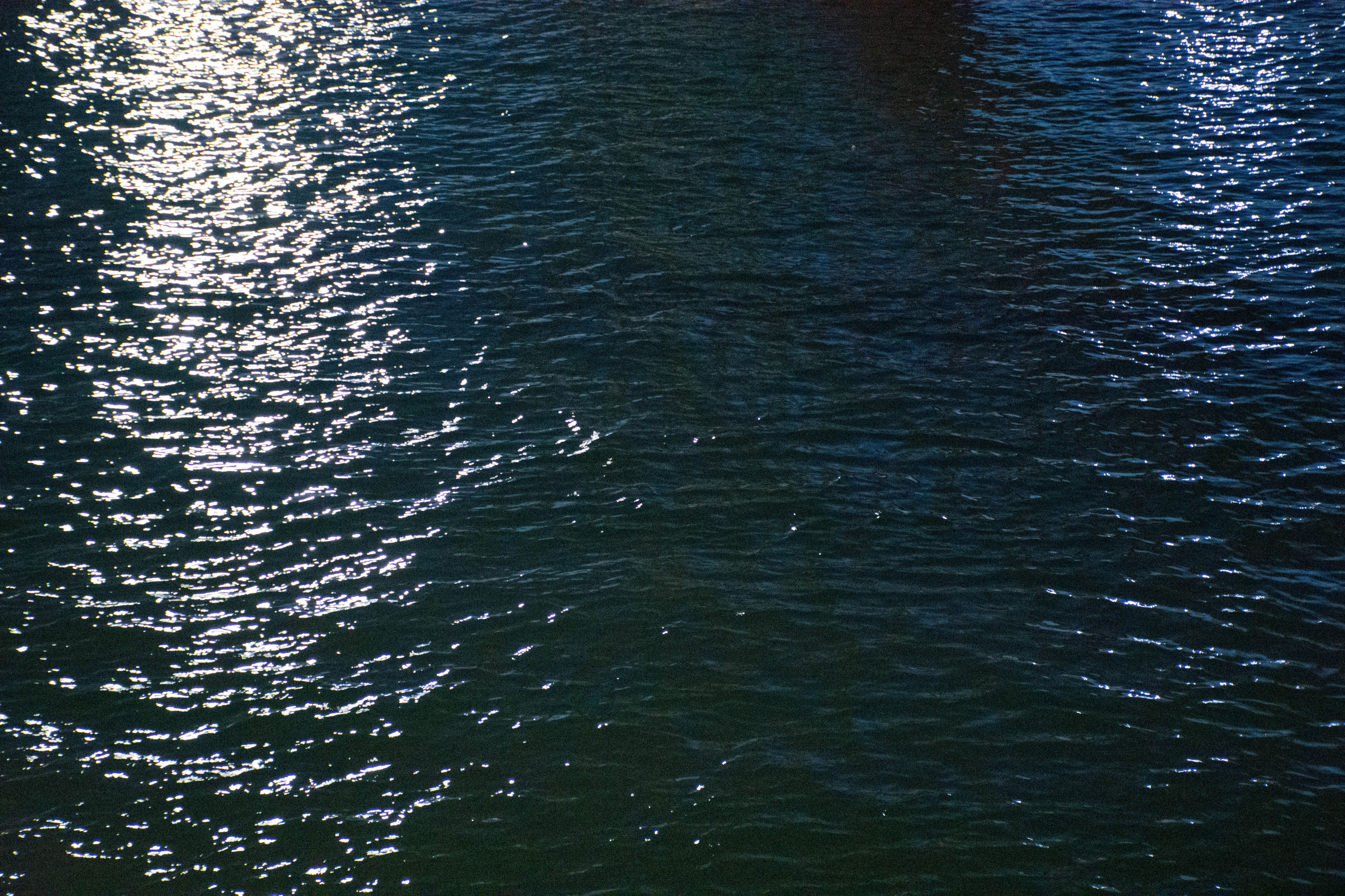 Water Surface · Free Stock Photo