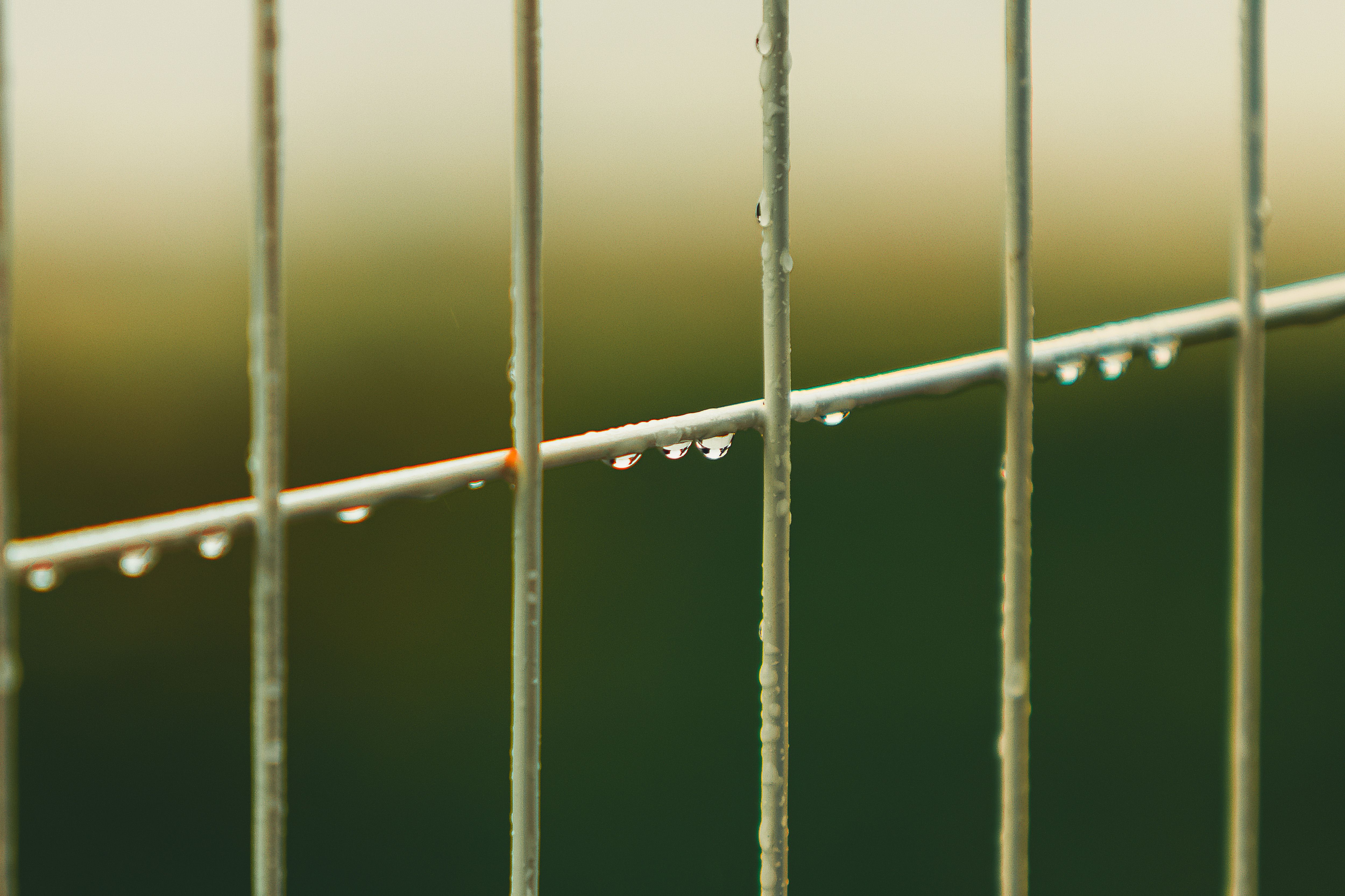 A White Fence with Water Droplets · Free Stock Photo