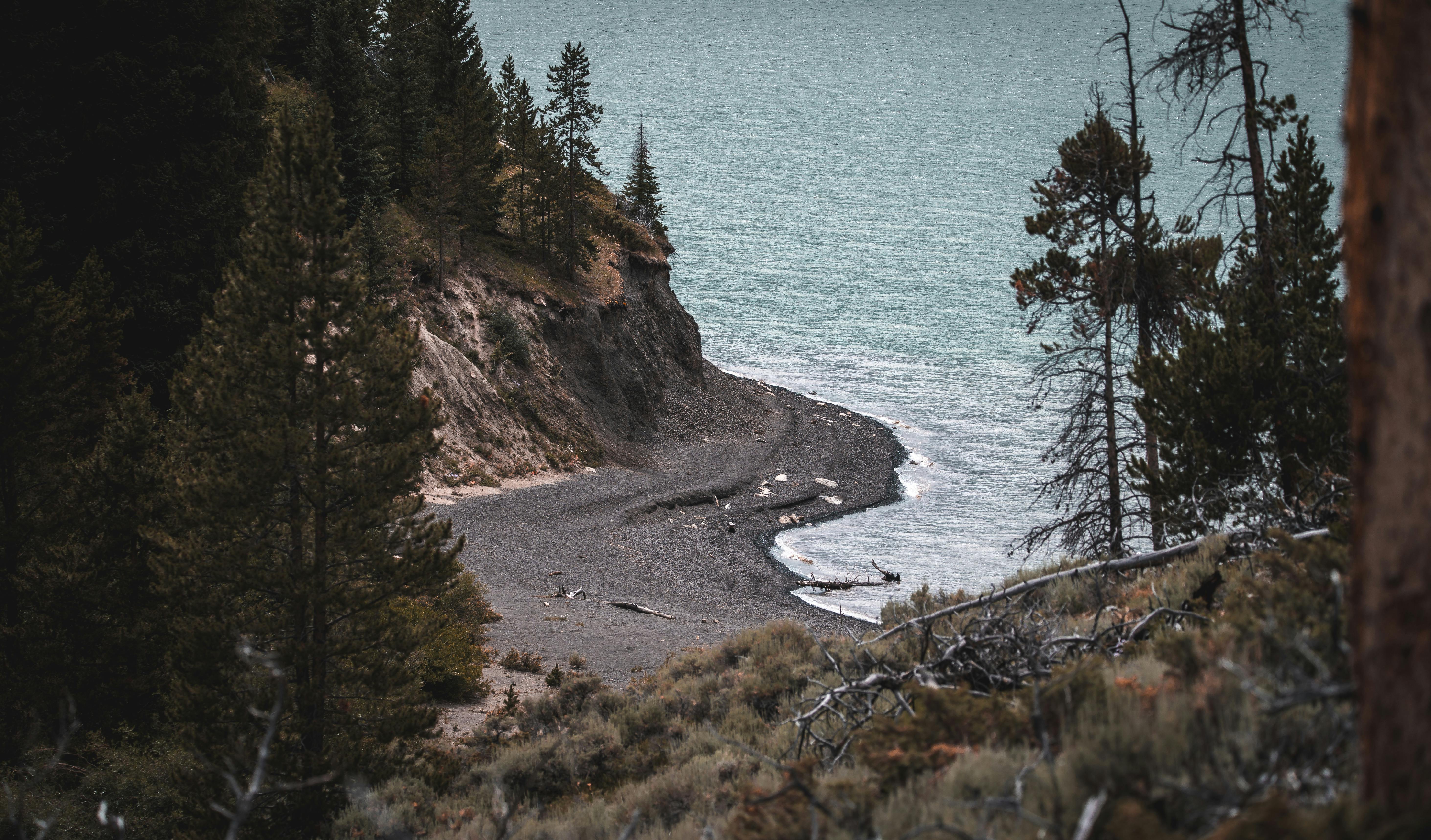 Beach Framed by Cliffs and Trees · Free Stock Photo