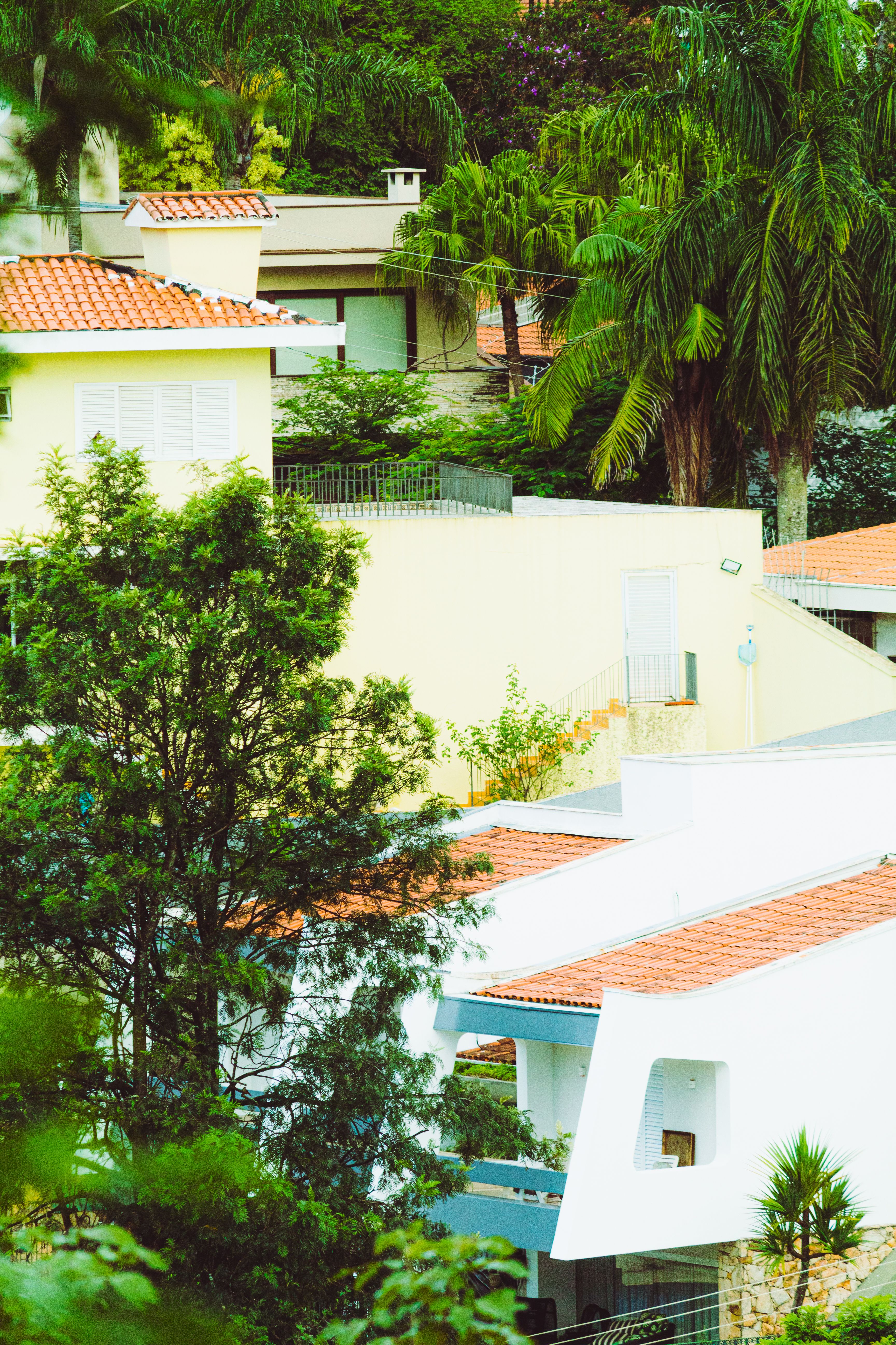 Green Tree Beside White Concrete House · Free Stock Photo
