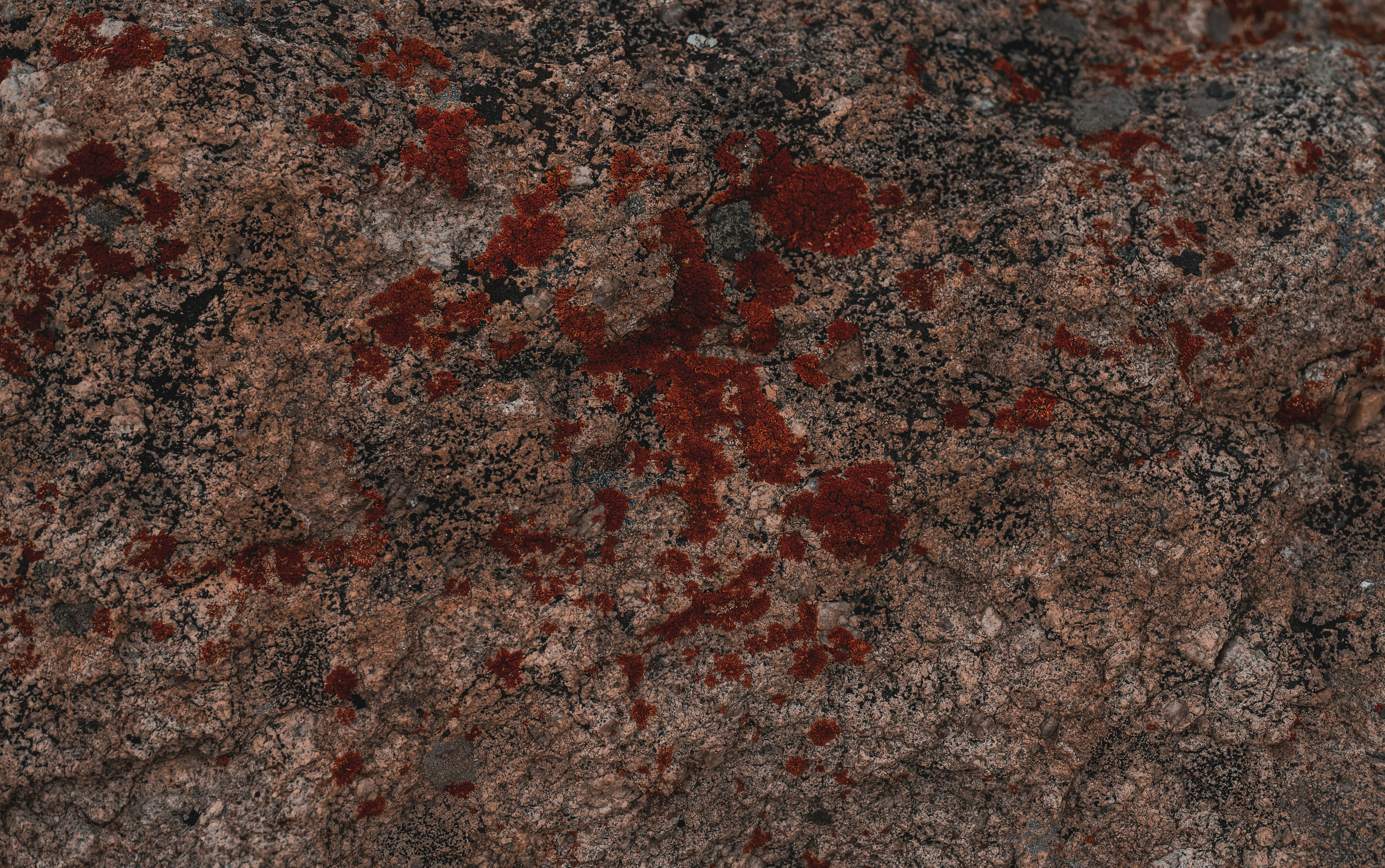 Rough Rock Texture · Free Stock Photo