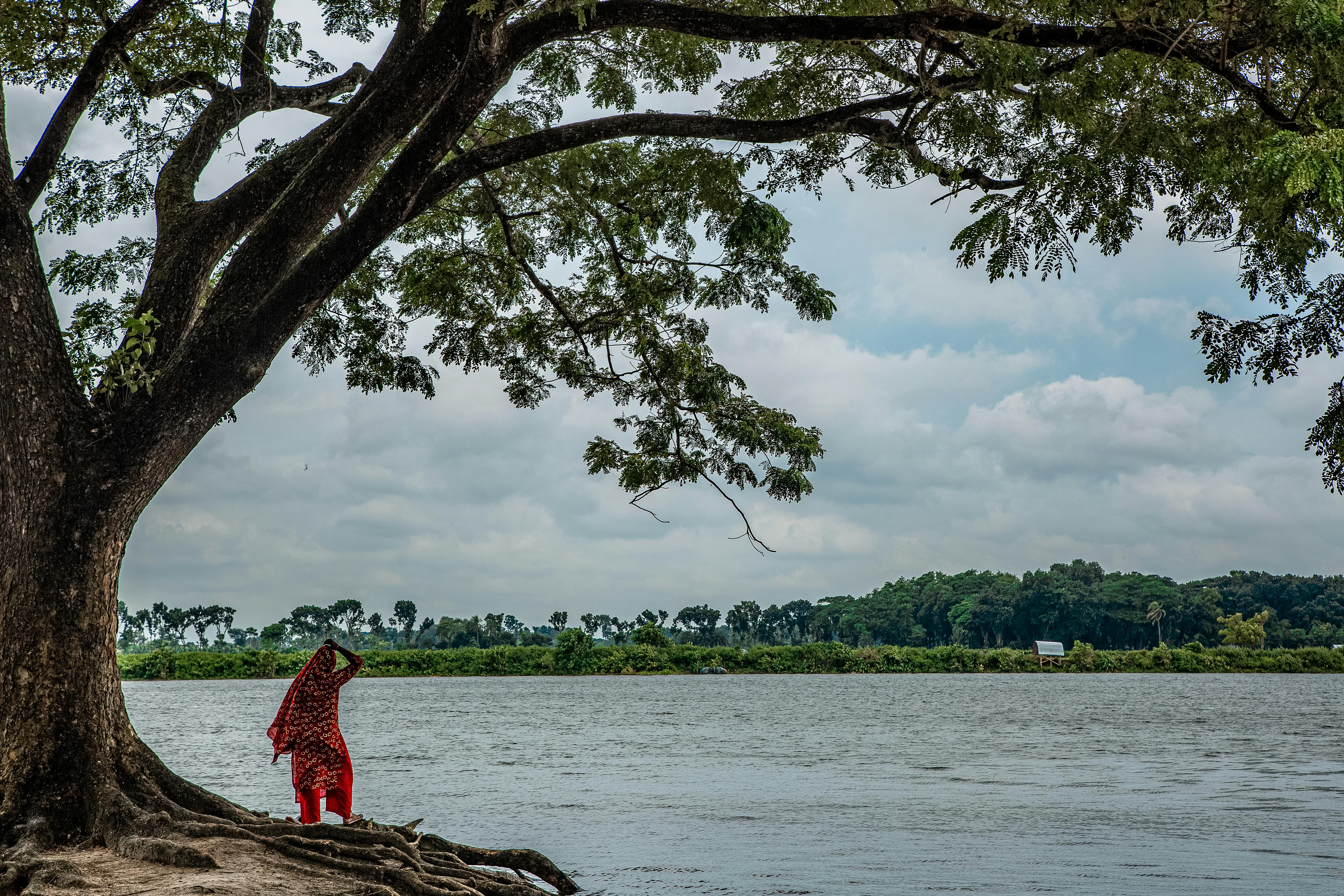A Woman Standing Near a River · Free Stock Photo