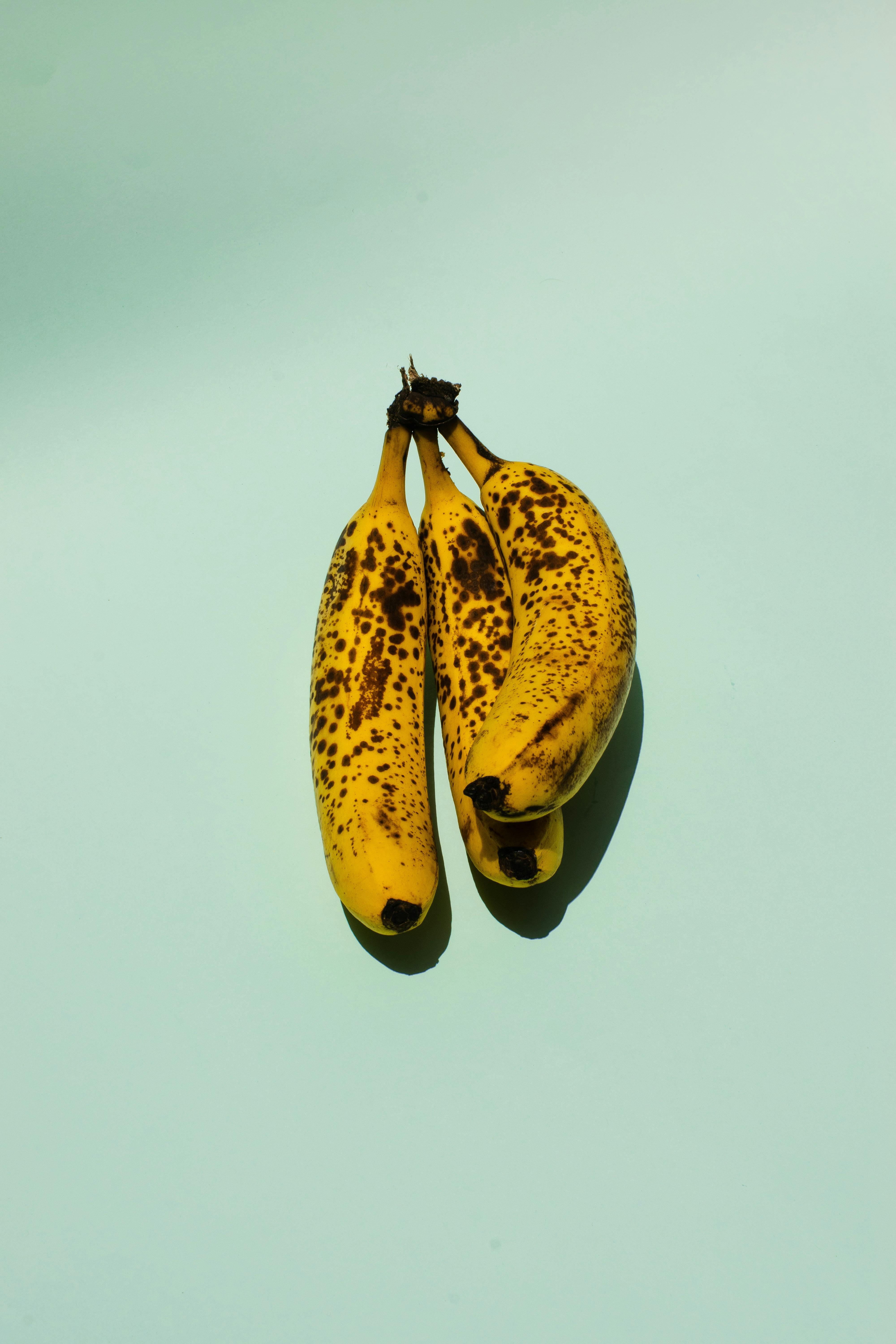 Photograph of Ripe Bananas · Free Stock Photo