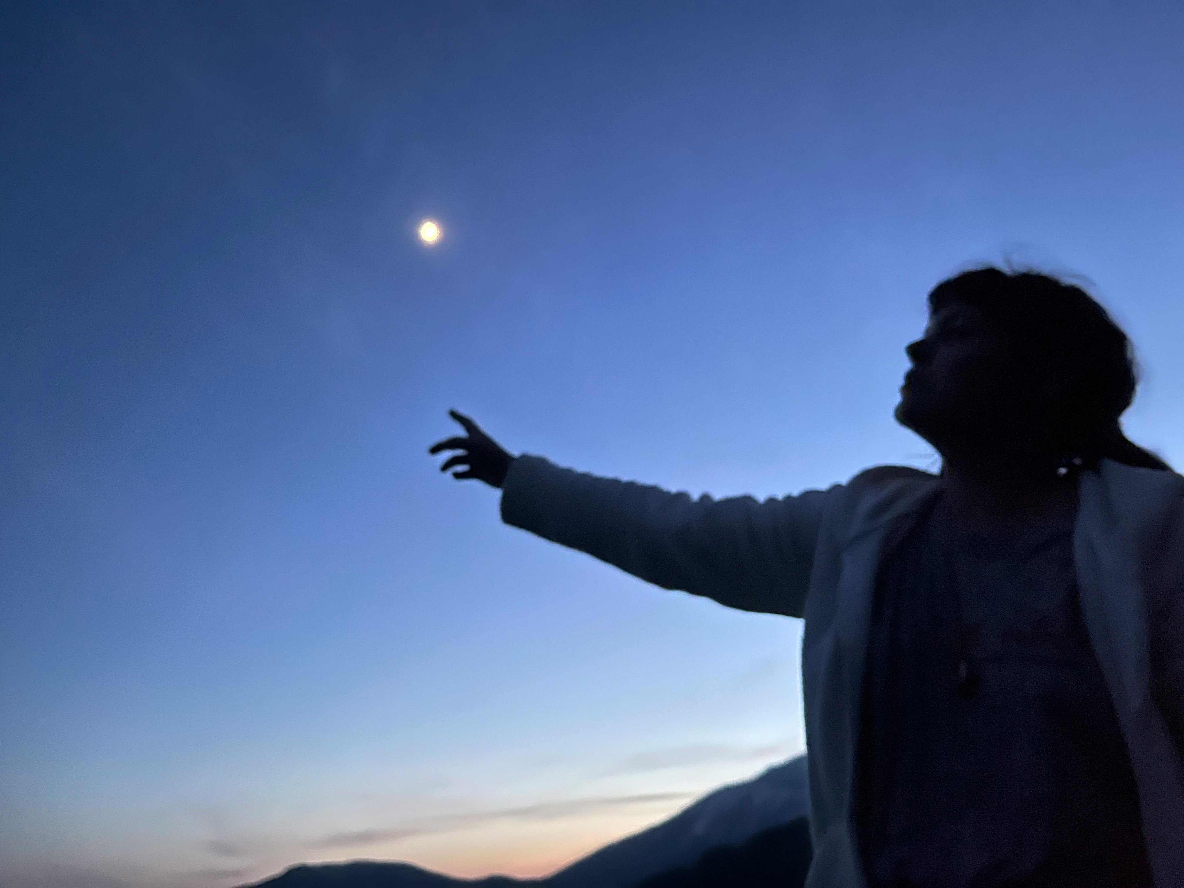 Reaching For The Sun Photos, Download The BEST Free Reaching For The Sun Stock Photos & HD Images