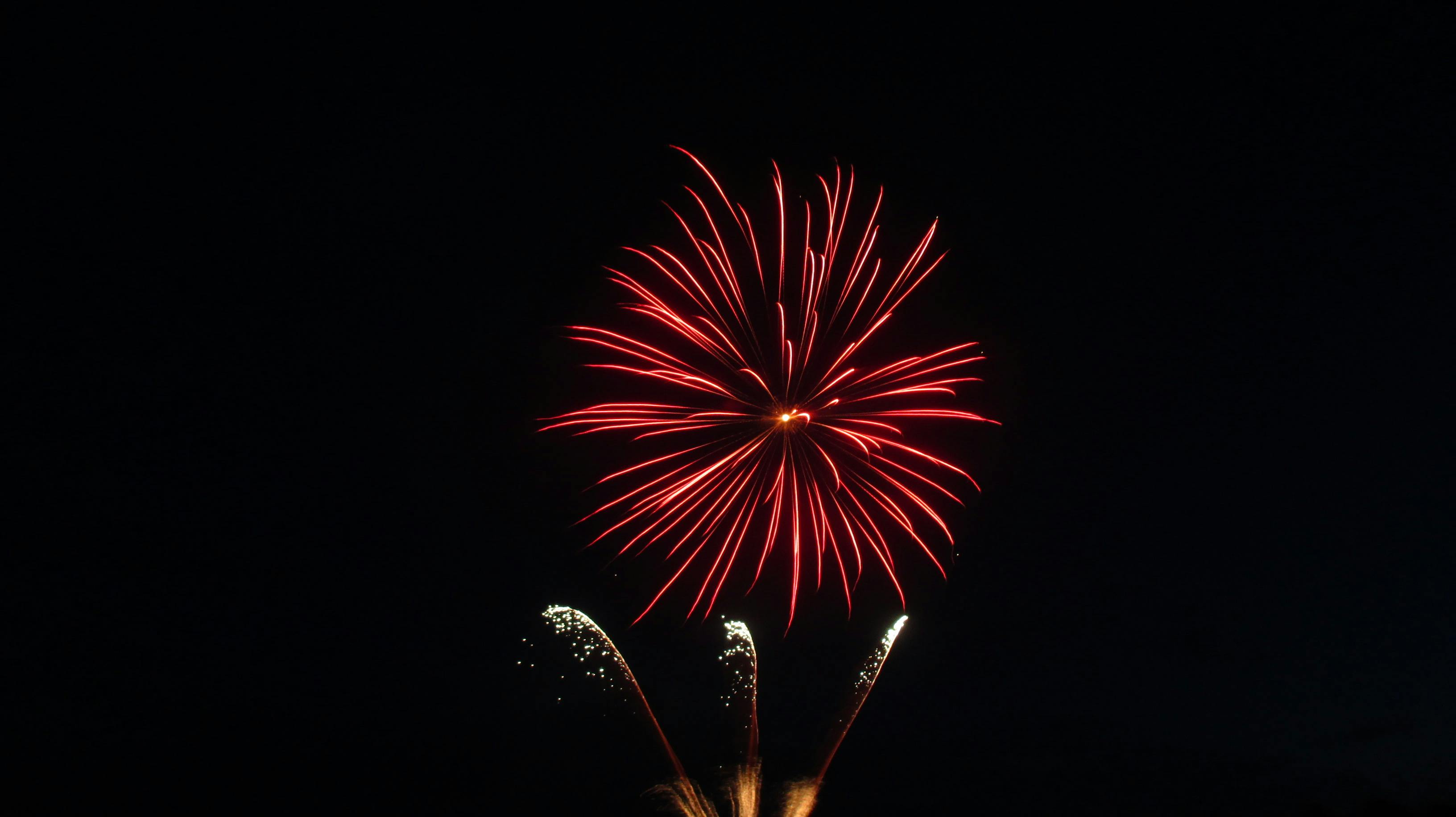 Colorful Fireworks Display during Night Time · Free Stock Photo