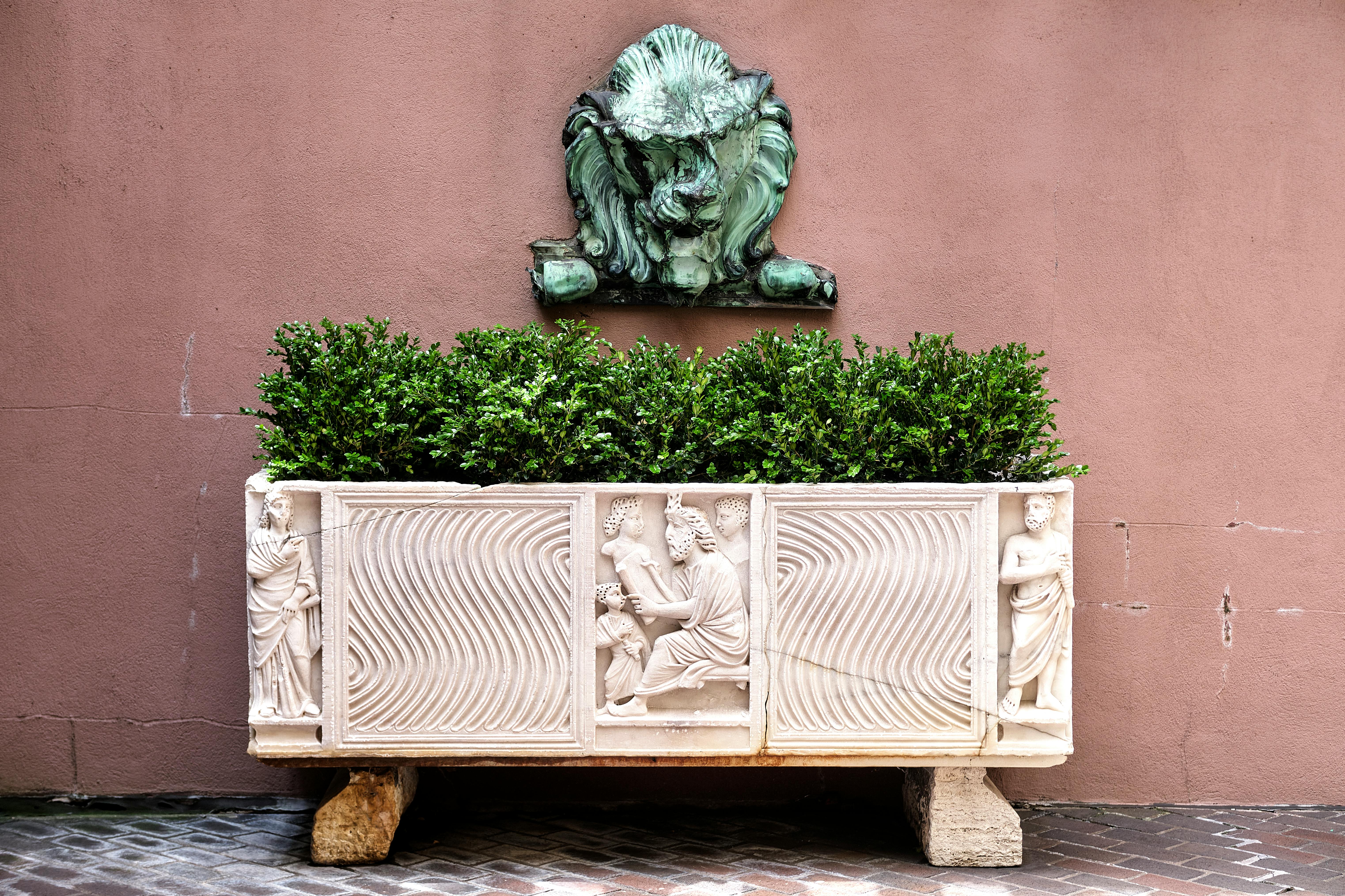 Plants in Classic Pot · Free Stock Photo