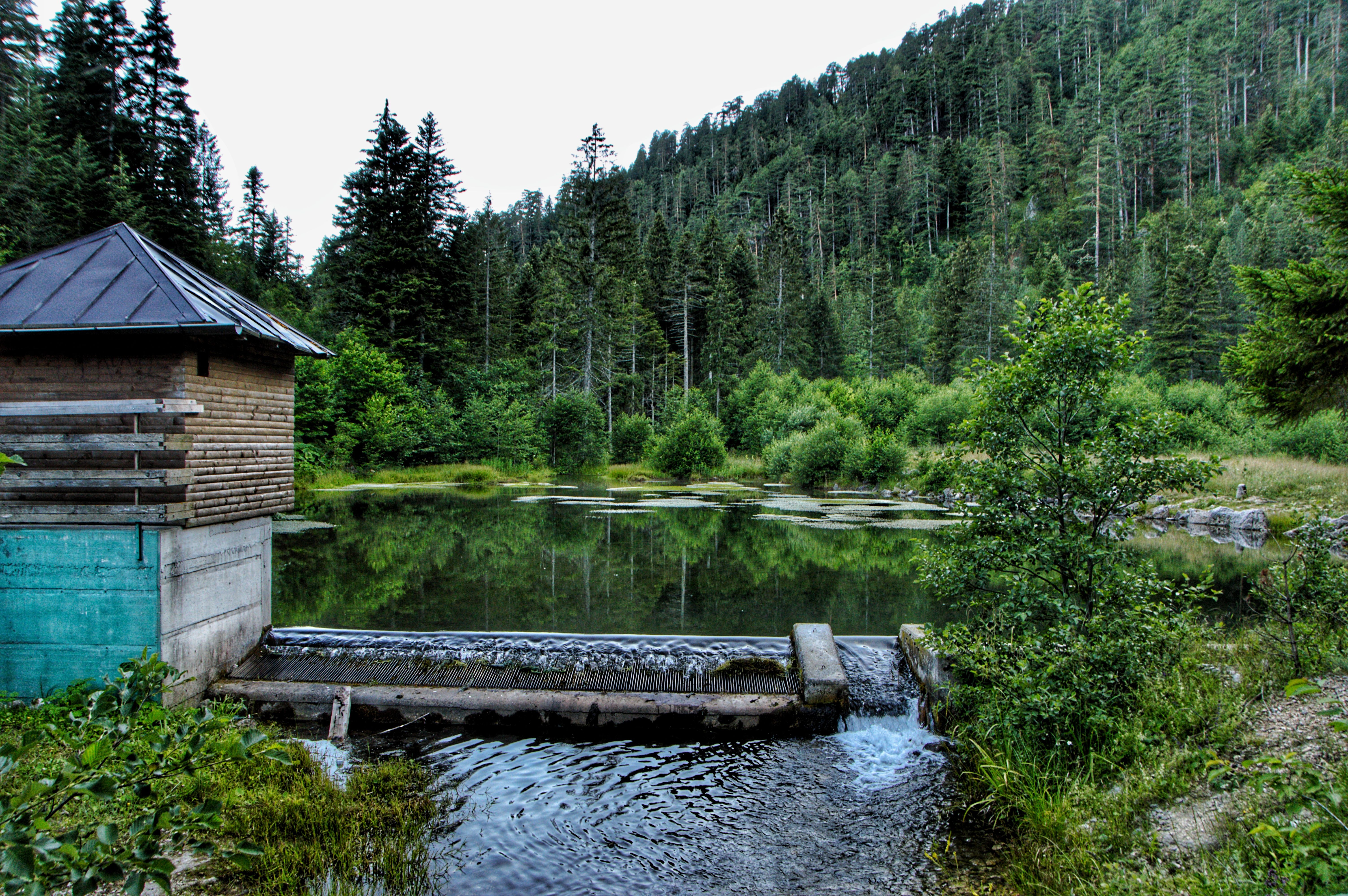 Brown Wooden House Near the River Surrounded by Green Trees · Free ...