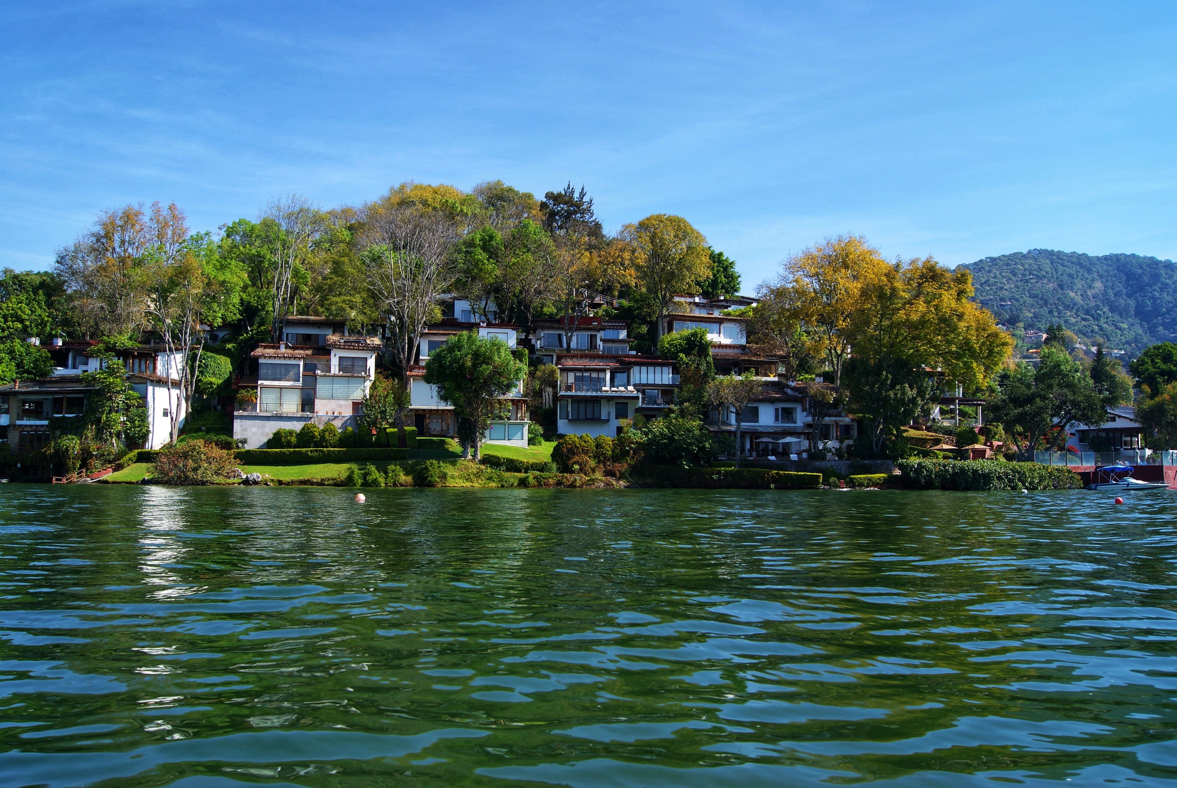 Houses on Lakeshore · Free Stock Photo