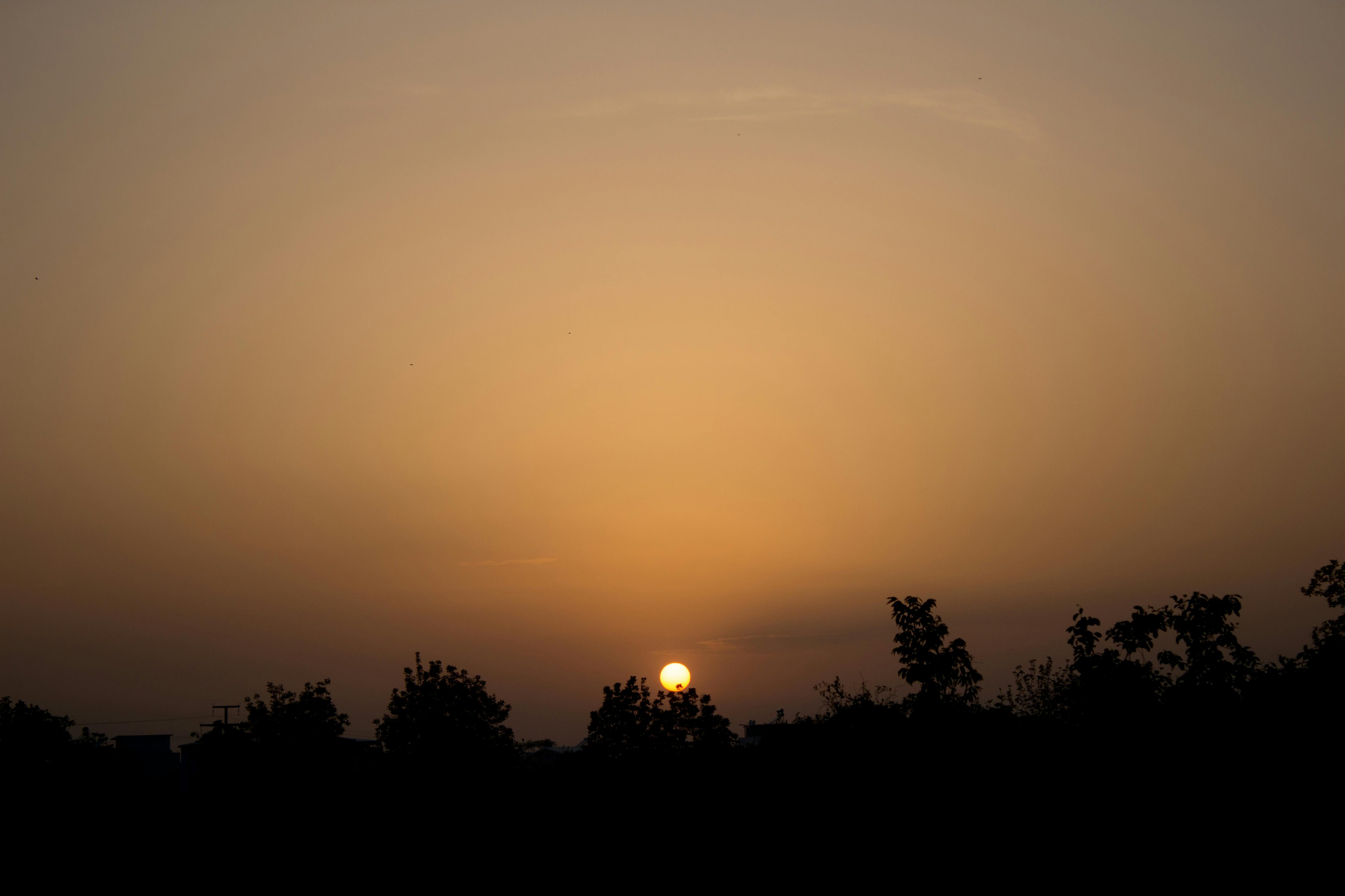 Silhouettes of Oalm Trees by Sunset · Free Stock Photo