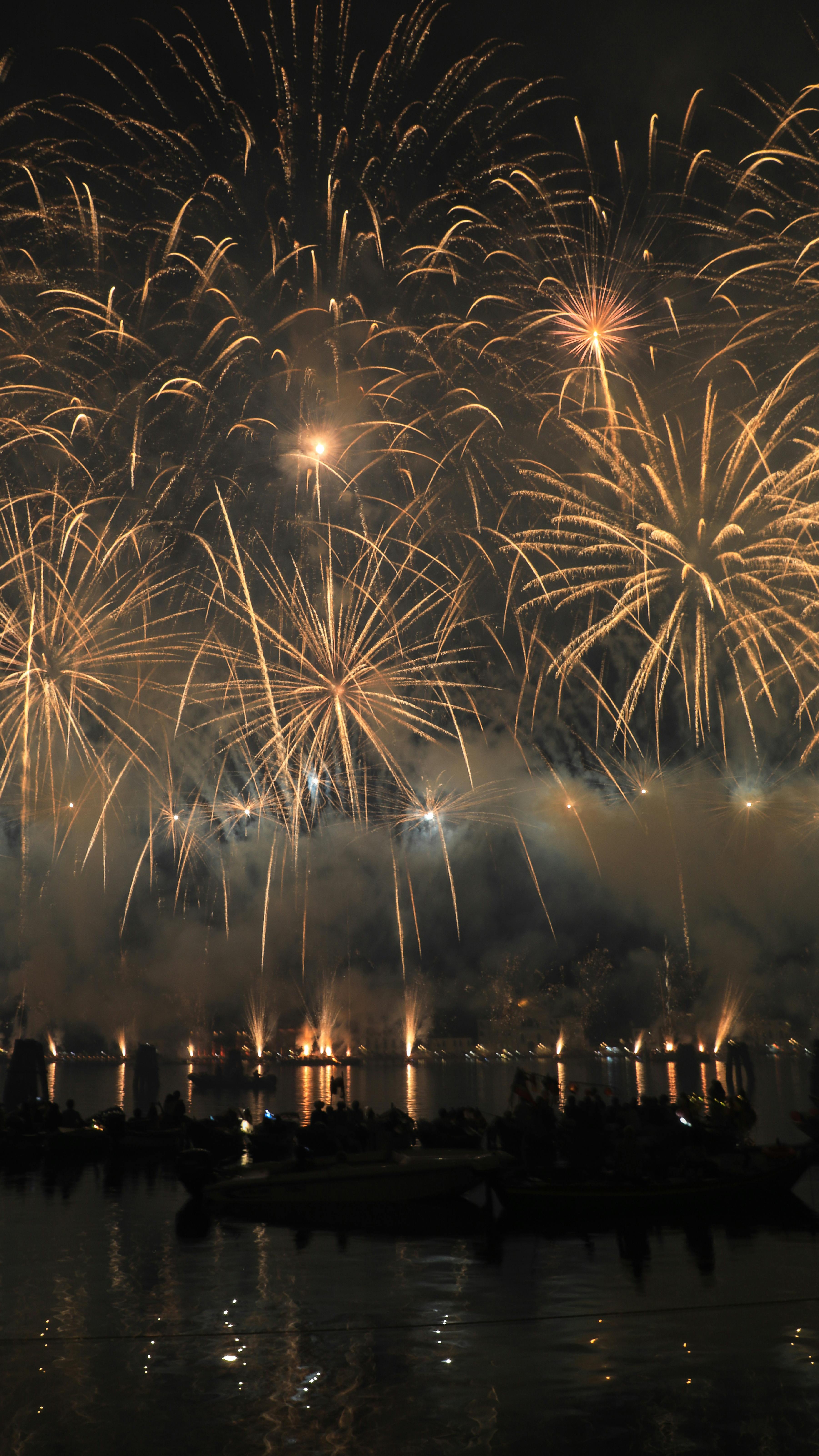 Fireworks in the Night Sky · Free Stock Photo