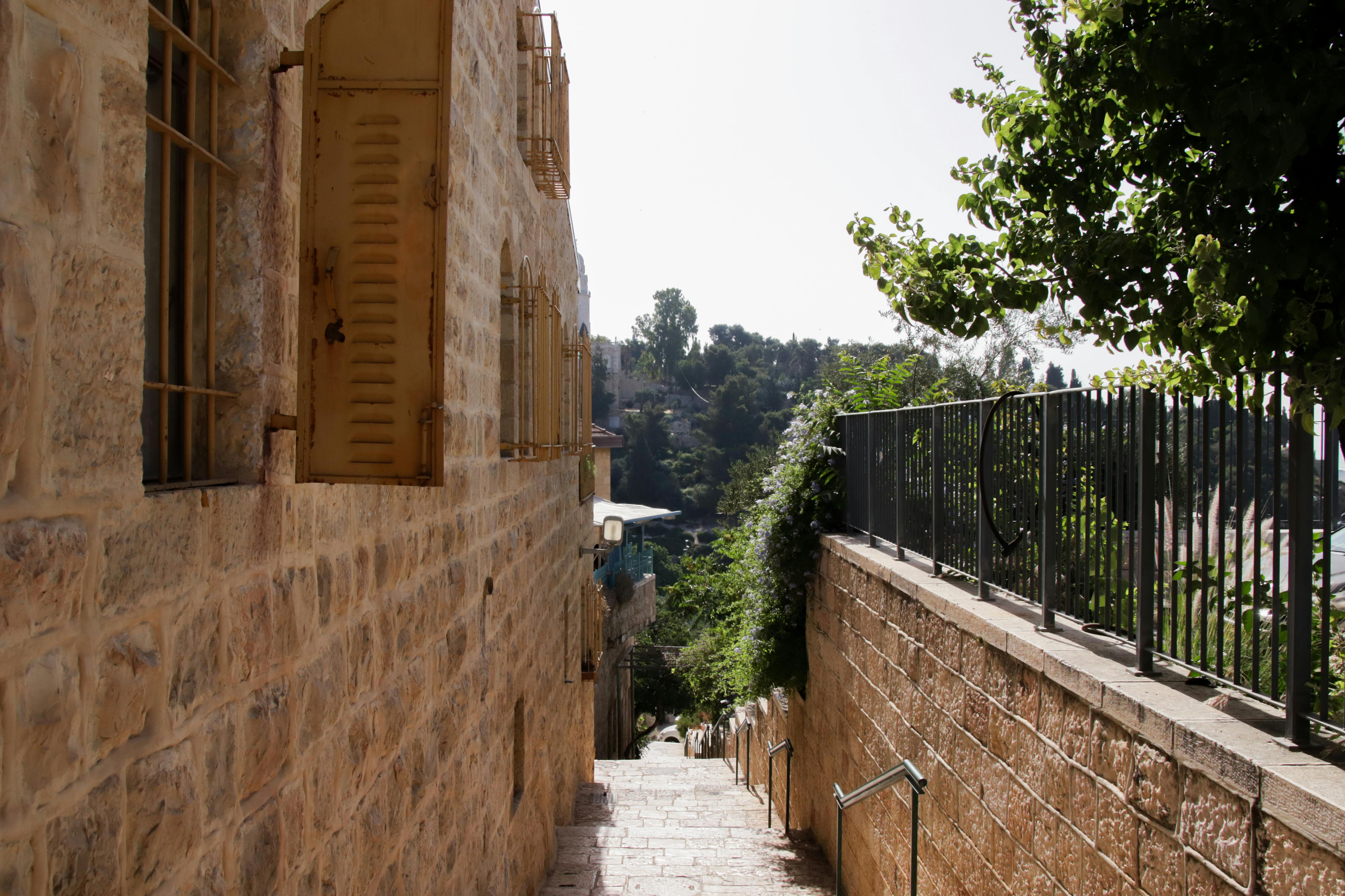 Lea Azar - Photography