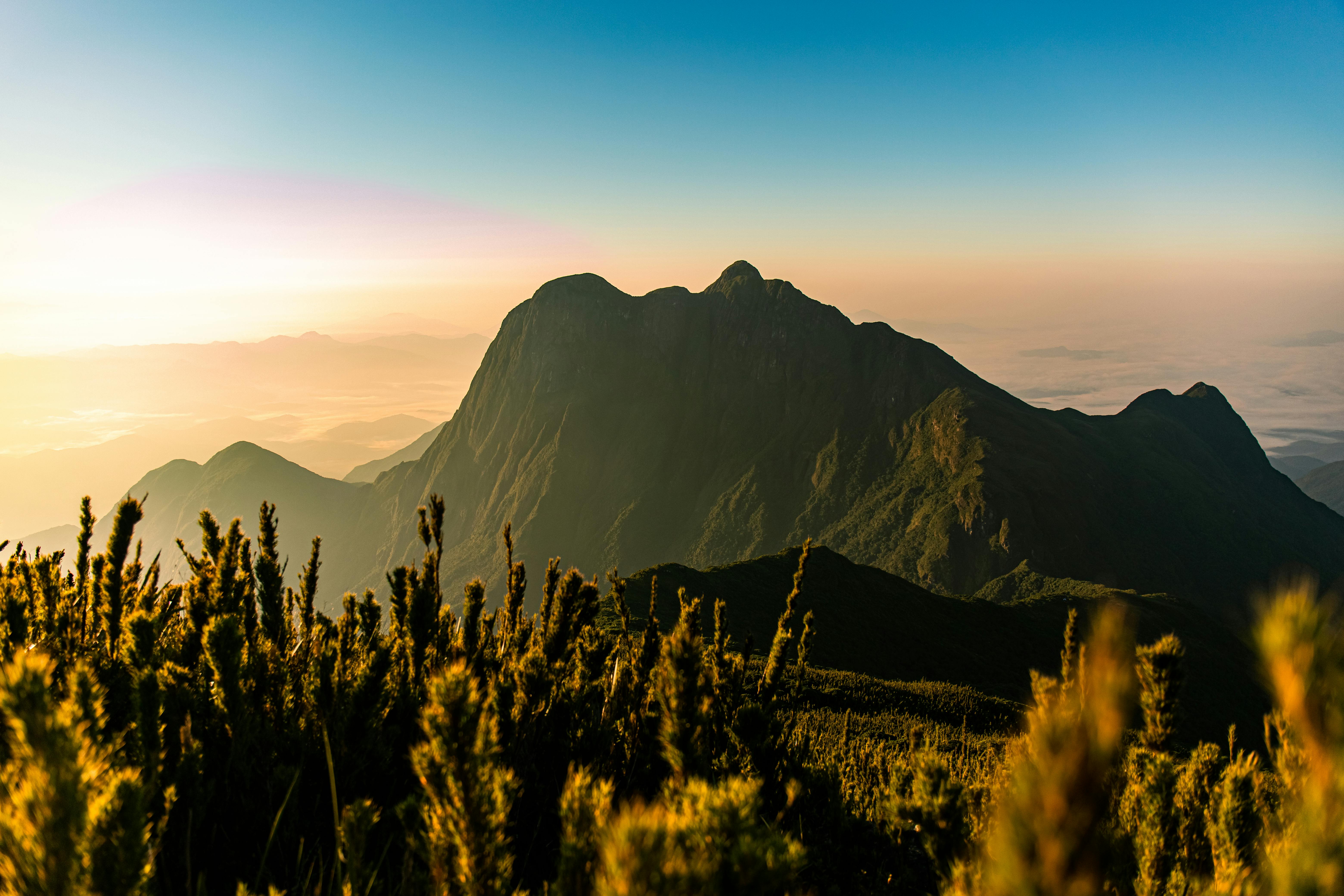 Brazil Court Photos, Download The BEST Free Brazil Court Stock Photos ...