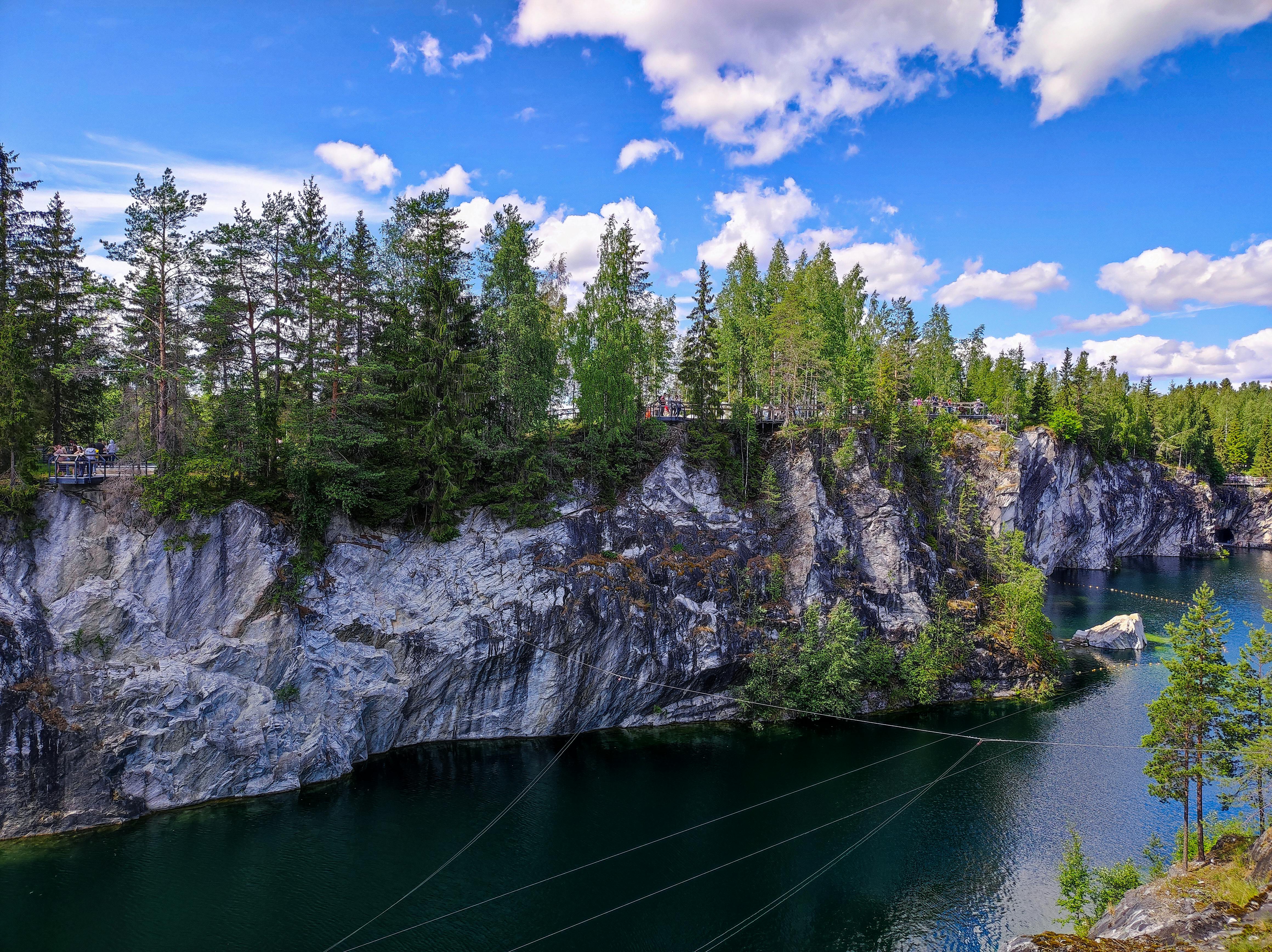 Trees on Cliff near River · Free Stock Photo